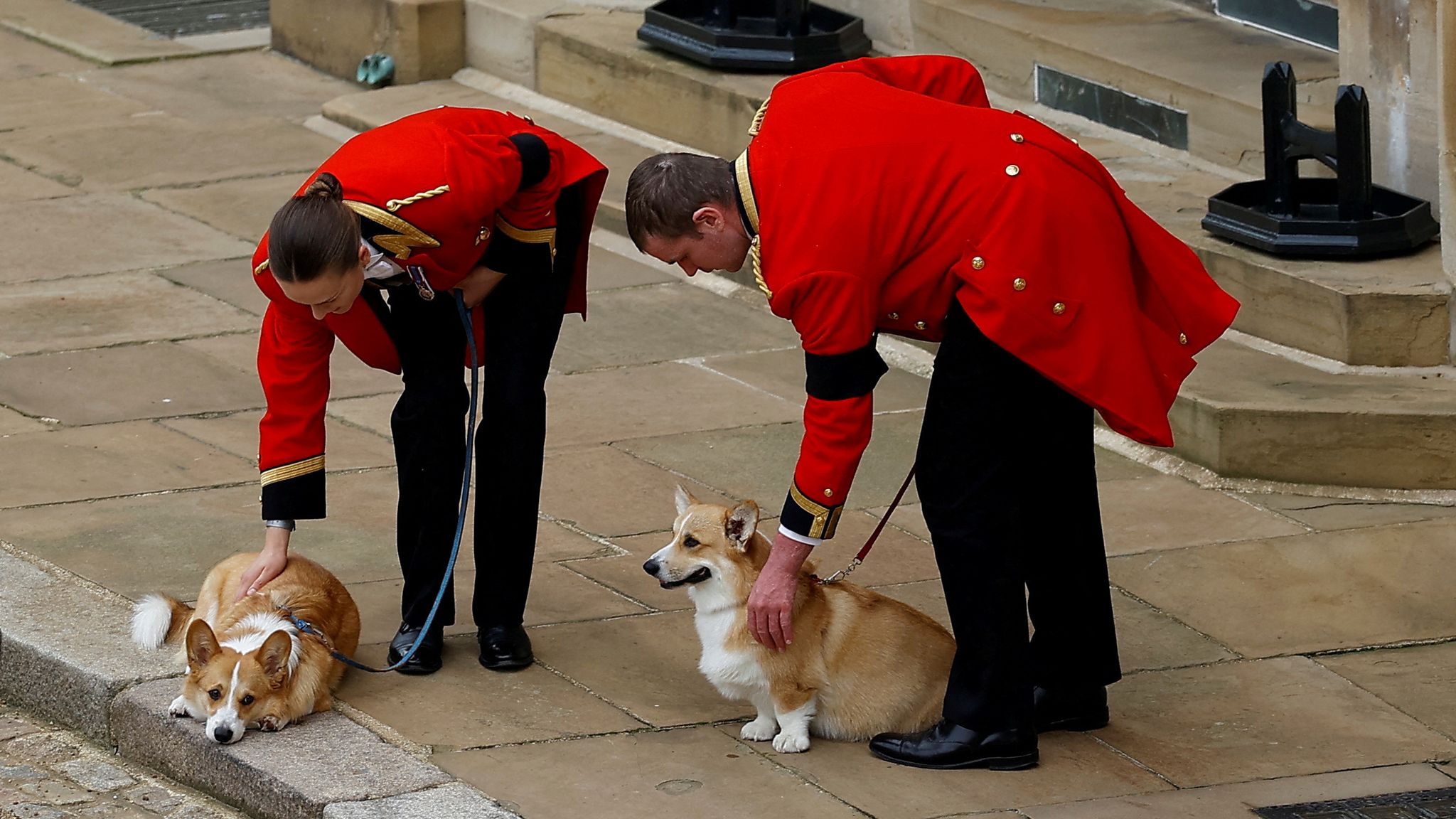Poignant new picture of Emma, Queen's favourite horse, released by palace | UK News | Sky News