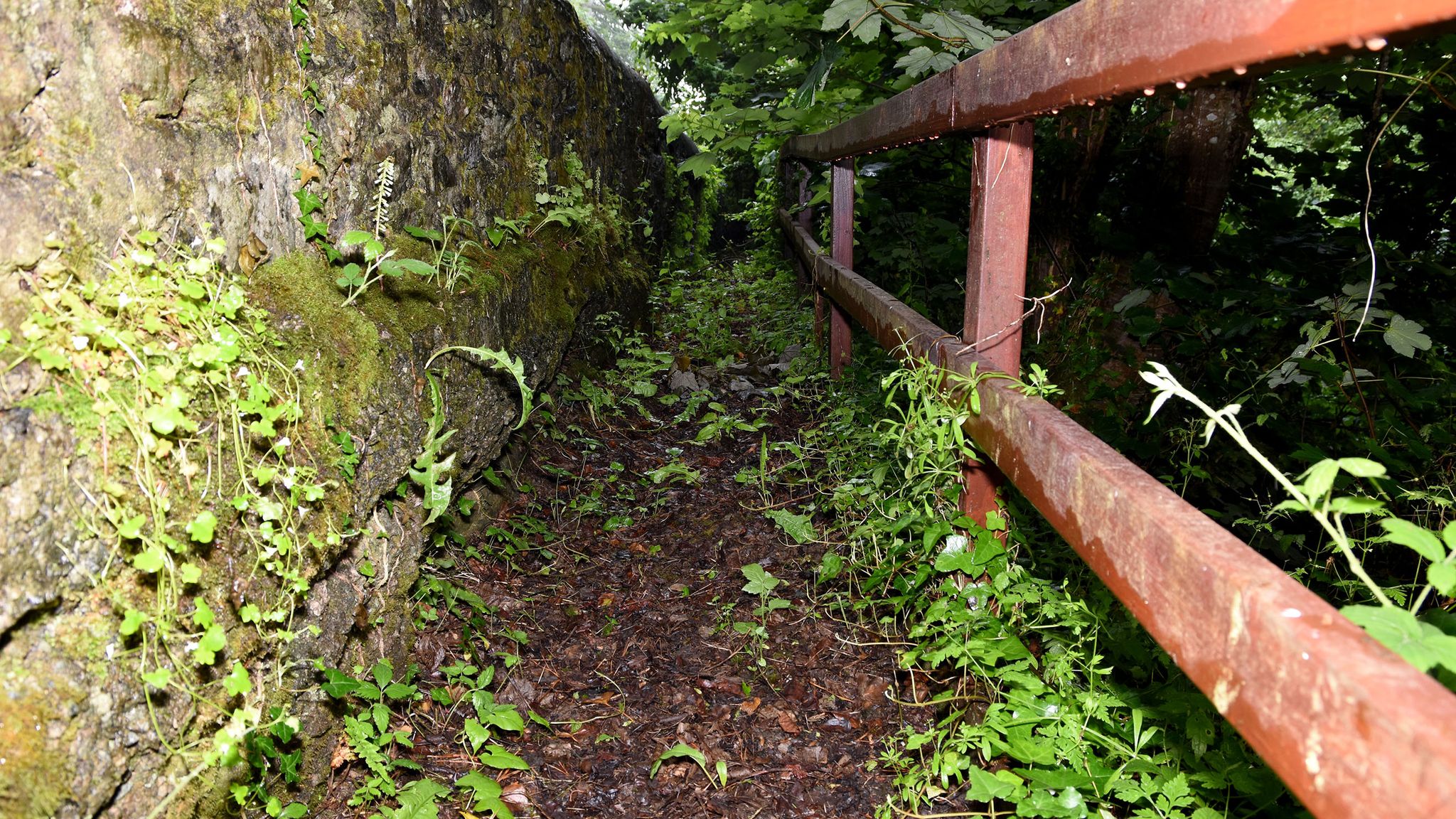 Jemma Mitchell jailed for 34 years for murdering and decapitating ...