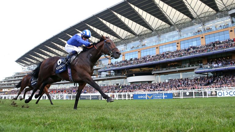 Maureen Haggas: Baaeed gave everything he had in Qipco Champion Stakes ...