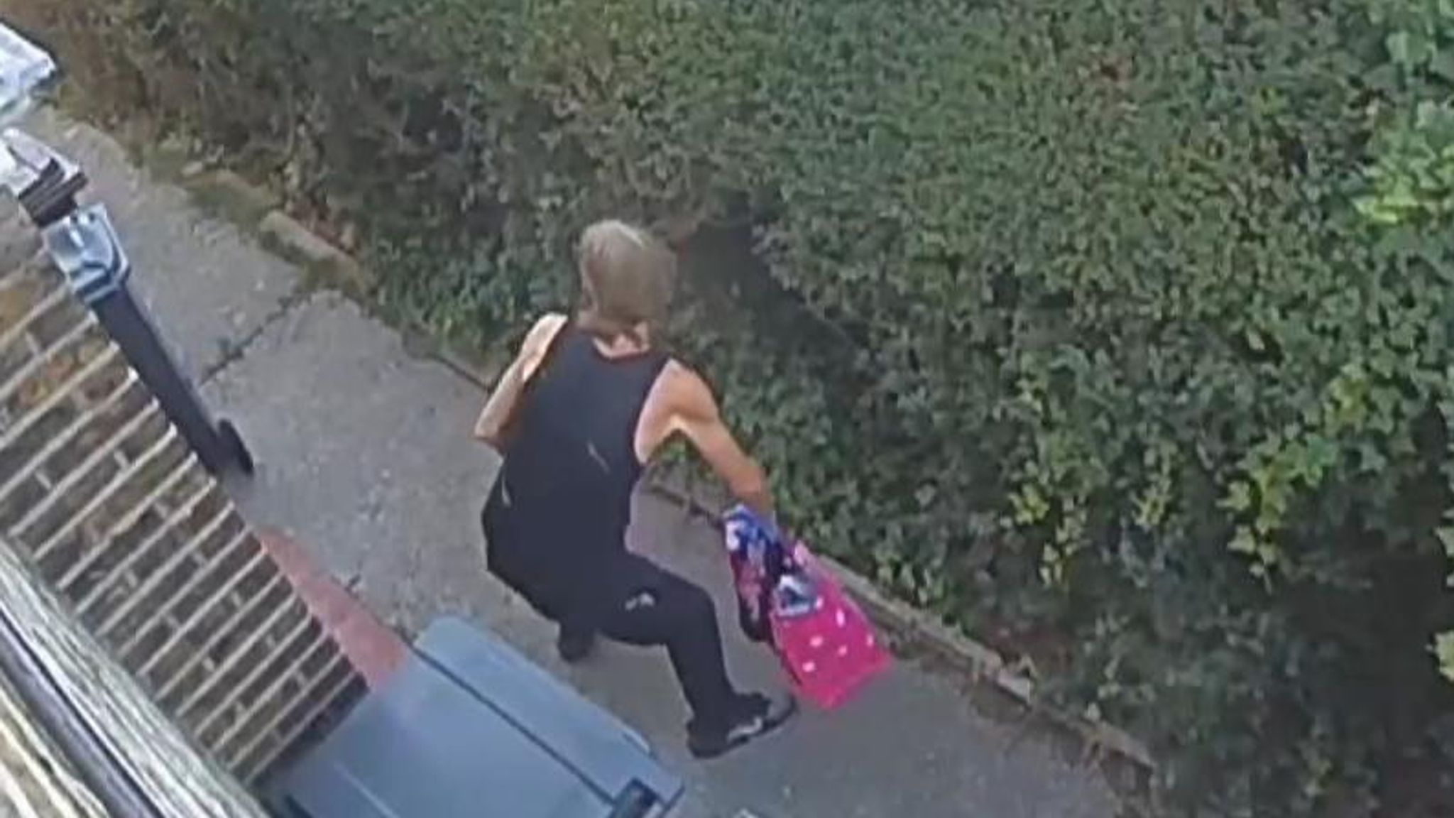 Catflap Burglar Snared After Homeowner Watched Break In Live On Her