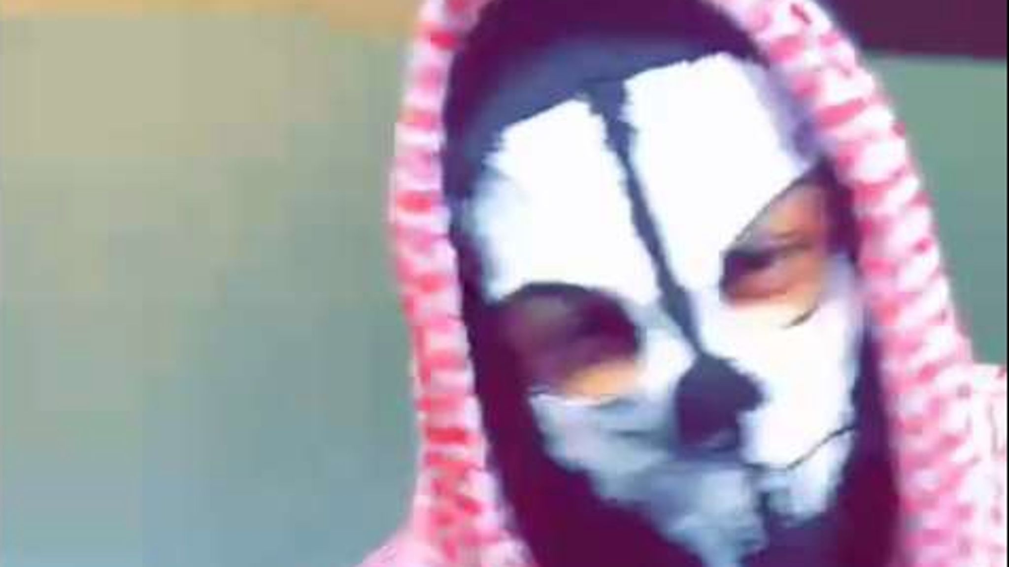 Teenager accused of London terror attack plot was obsessed with Call of ...