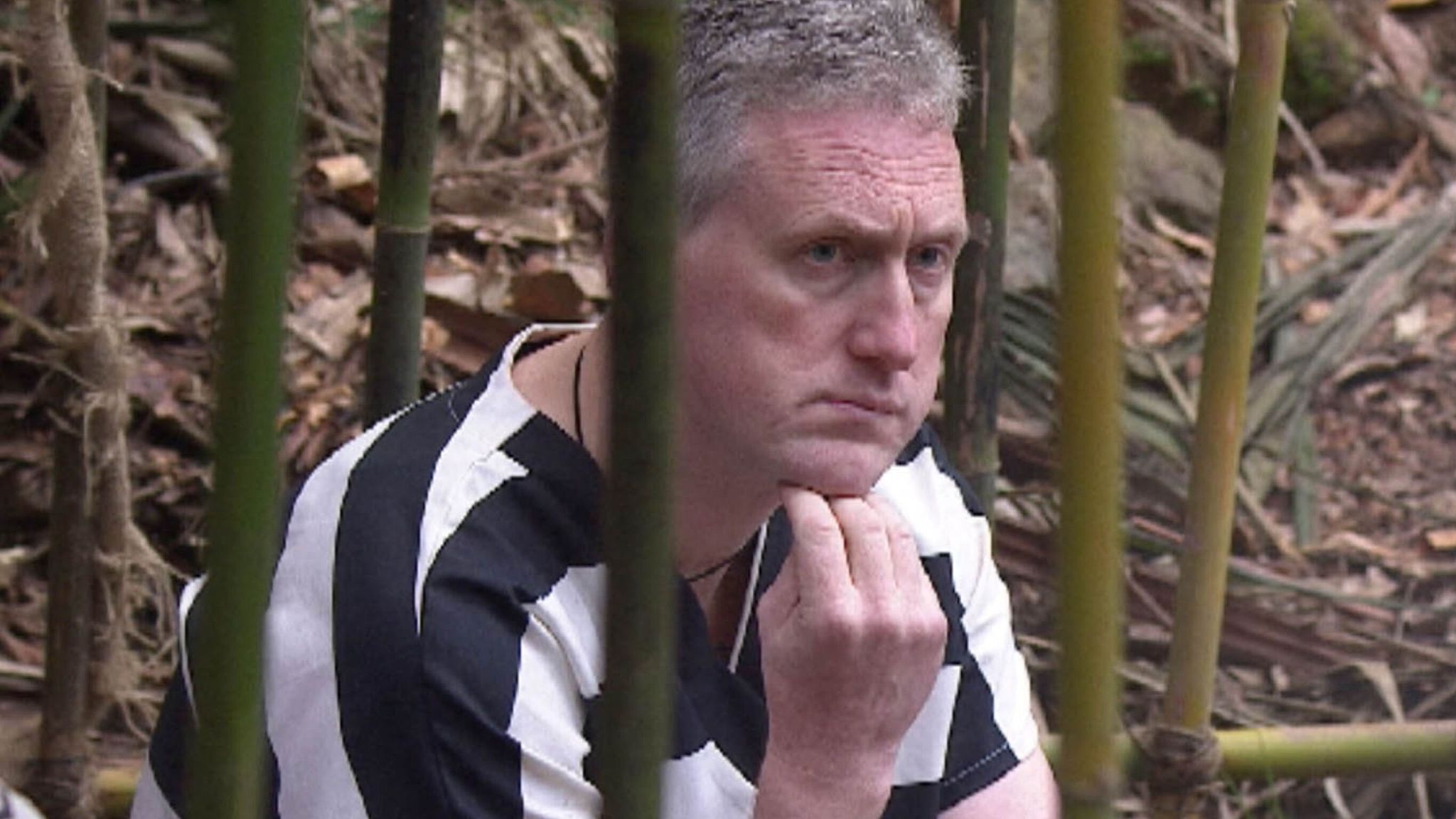 Politicians who have traded Westminster for reality TV | Ents & Arts ...