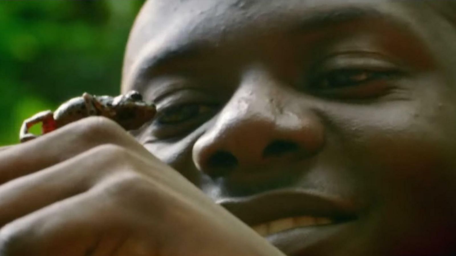 This man wants to save the slippery frog | Sky News