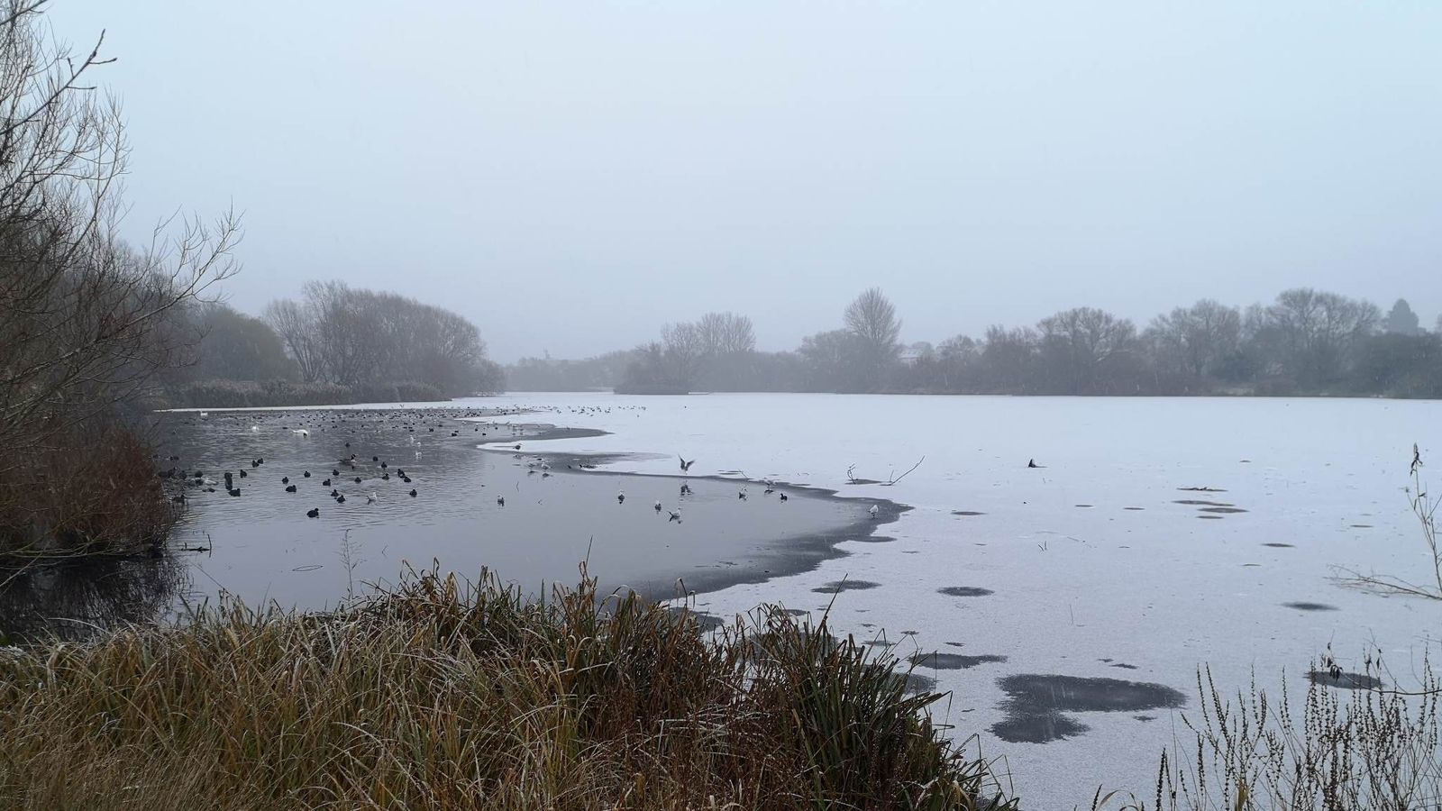 Four children critically ill after falling through frozen Solihull lake ...