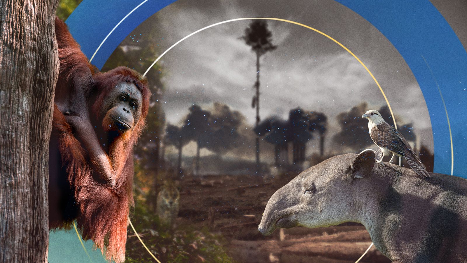 A mass extinction looms – and we have a 'once-in-a-decade chance' to ...