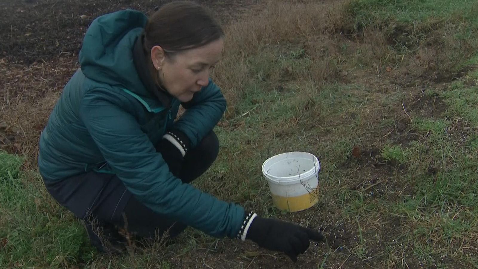 Record number of plastic nurdles found on beaches as environmental ...