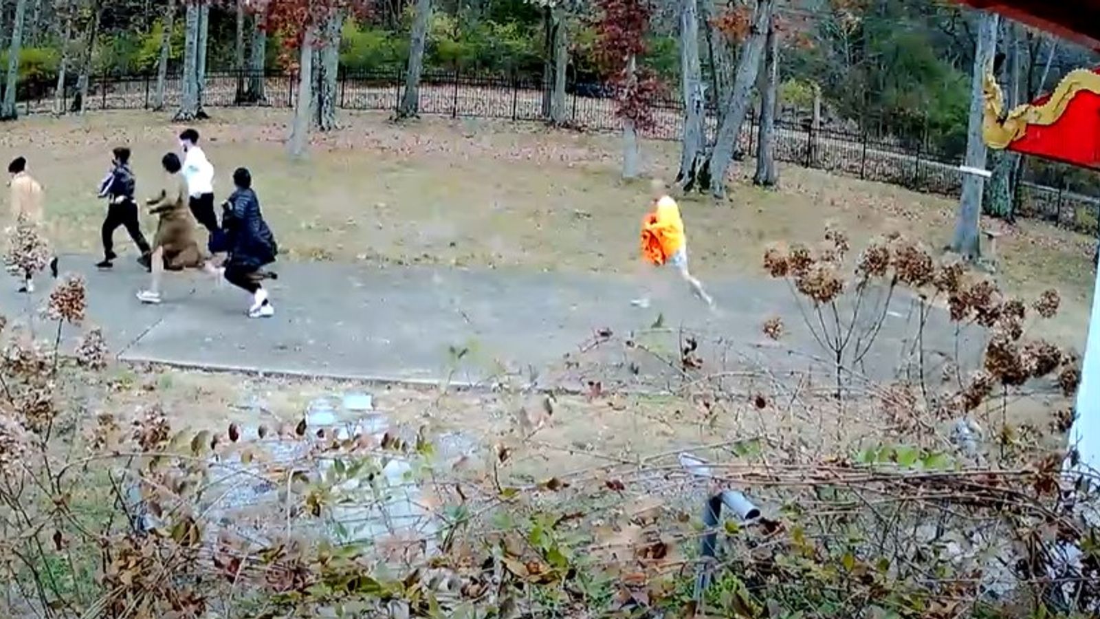 CCTV captures gang, including a woman holding a toddler, attack ...