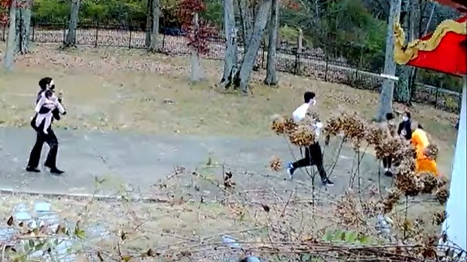 CCTV captures gang, including a woman holding a toddler, attack ...