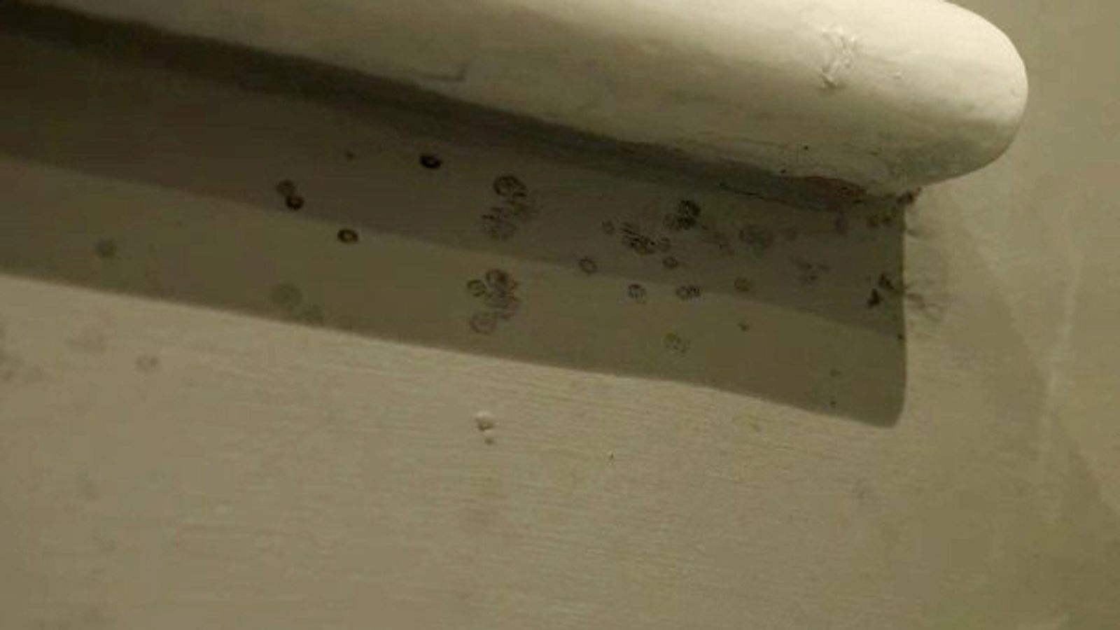 'Even my clothes are mouldy': Millions of adults with health issues are ...