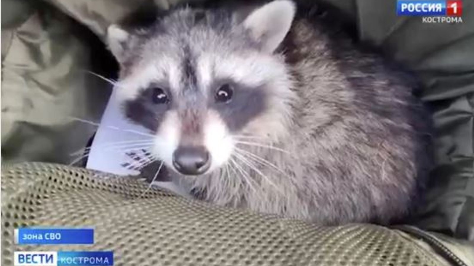 Ukraine's internet army of 'fellas' buy sea drone to hunt Russian ships ...