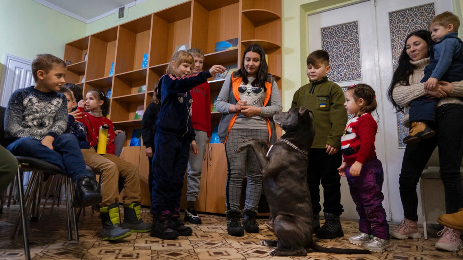 How 'four-legged rehabilitators' are helping Ukrainian children ...