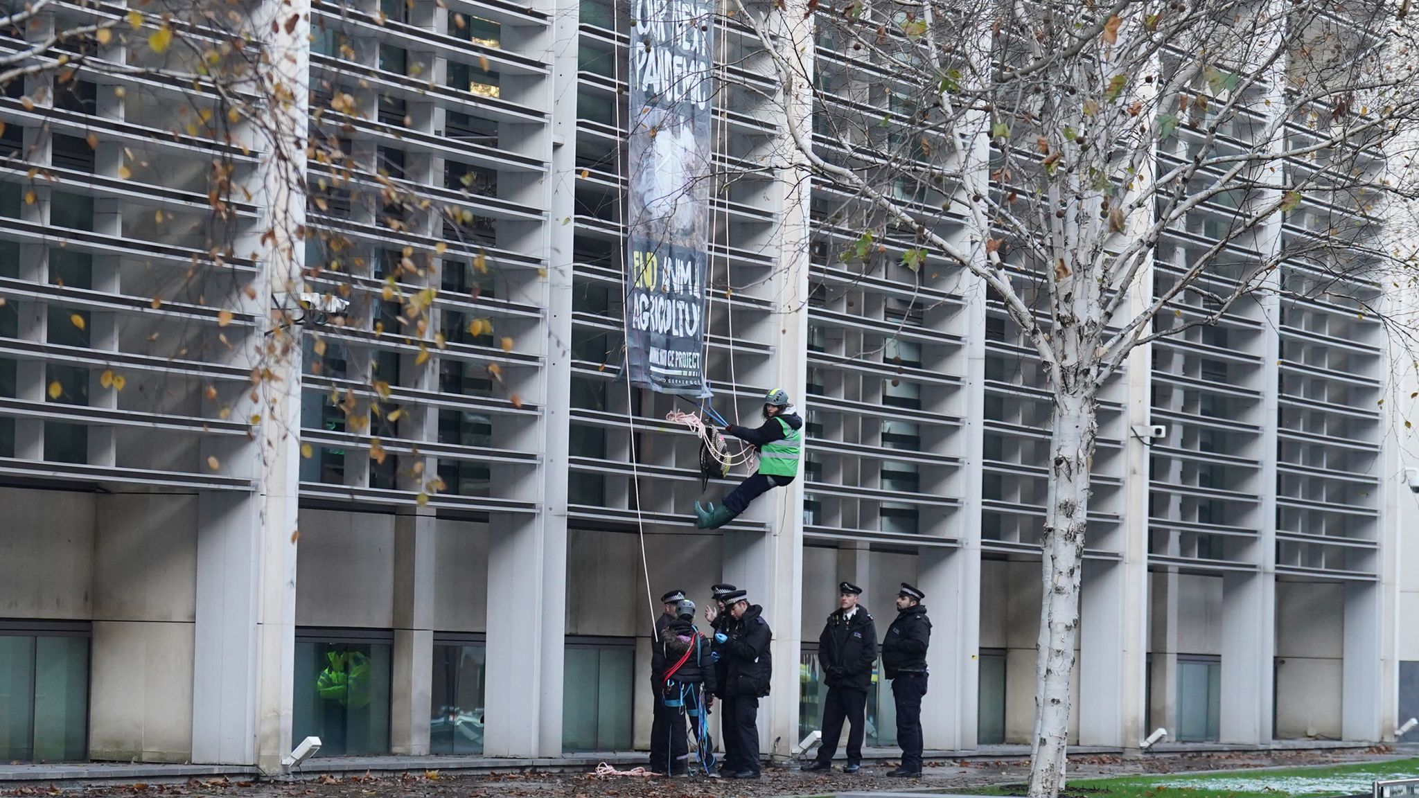 Animal rights protesters arrested after scaling DEFRA building over ...