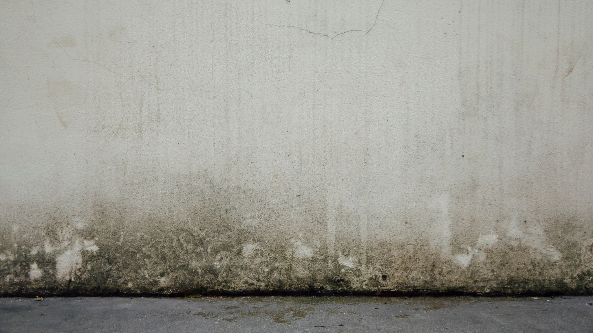 'Even my clothes are mouldy': Millions of adults with health issues are ...