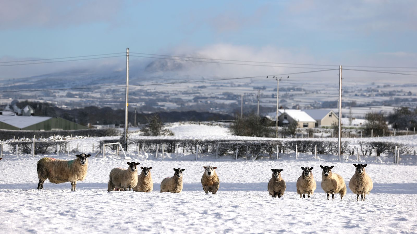 UK weather: Met Office alerts warn snow set to trigger power cuts, road ...