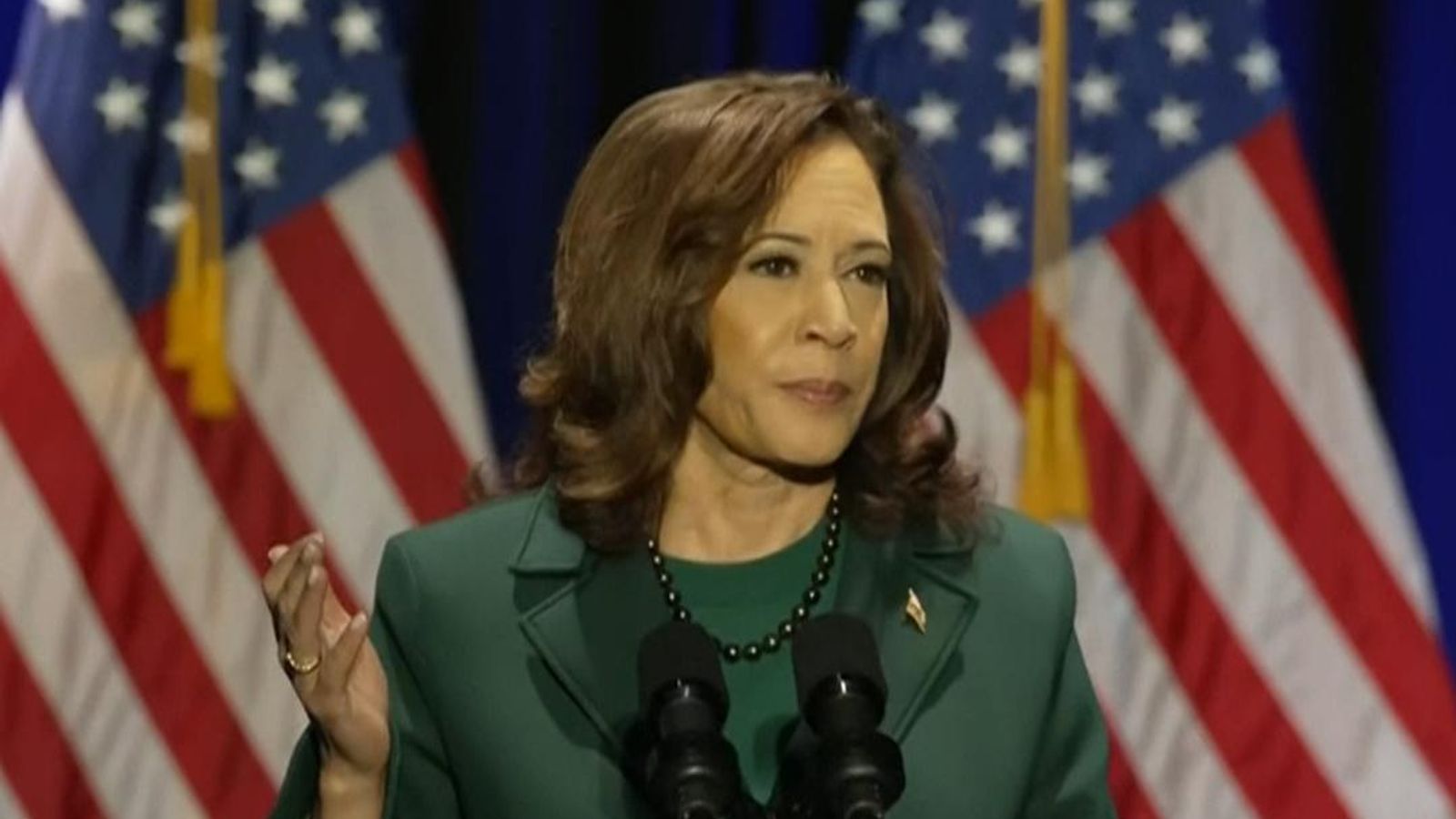 Kamala Harris takes aim at Supreme Court on Roe v Wade anniversary | US ...