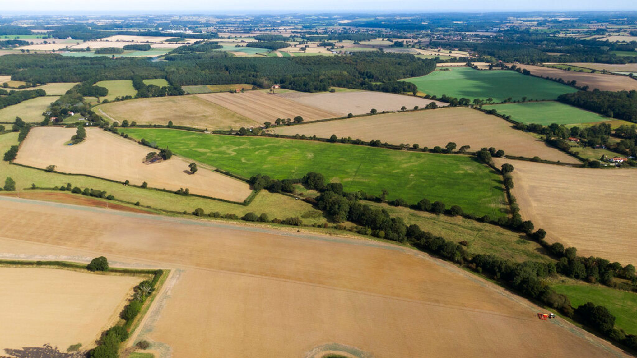 Farmers paid to protect nature in dramatic overhaul of subsidies scheme ...