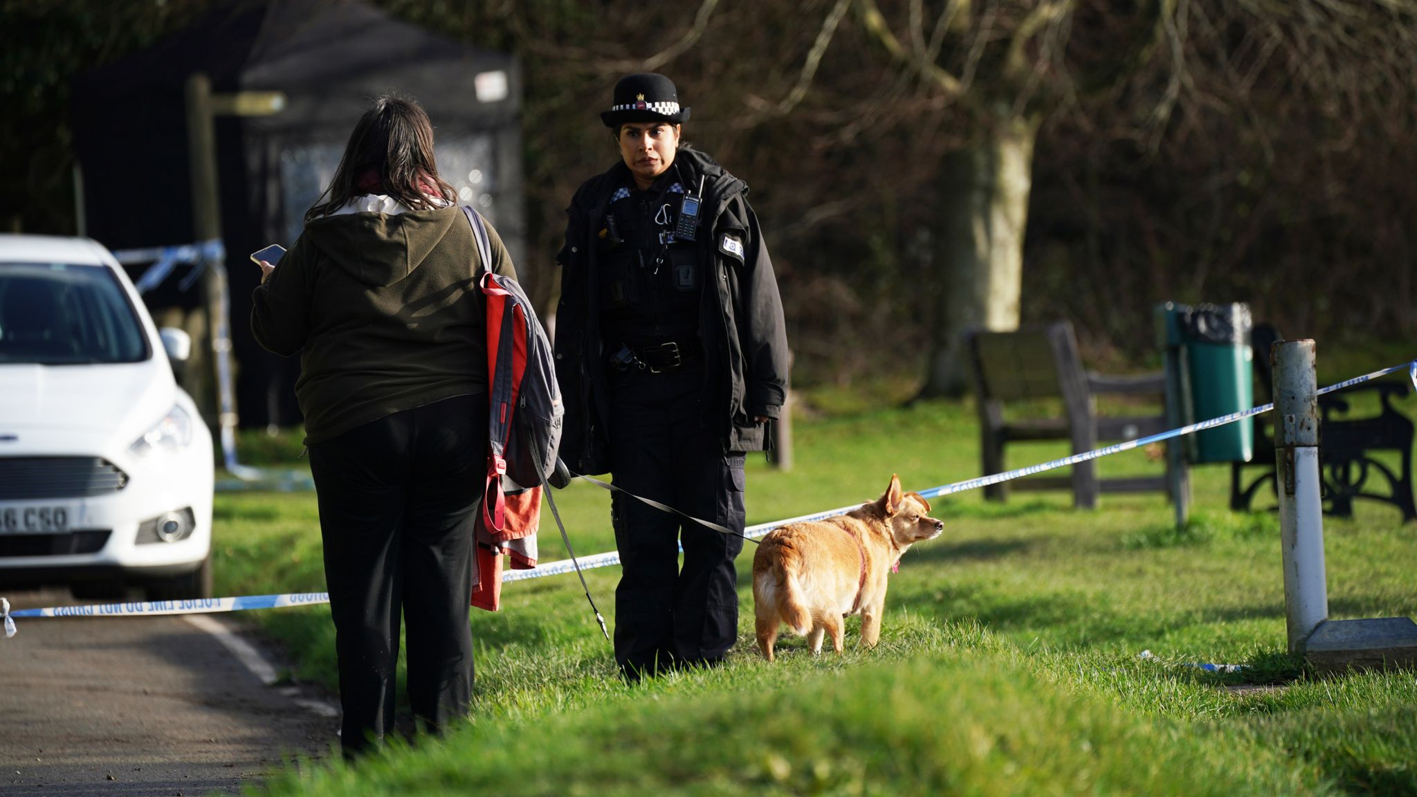 Caterham dog attack: Woman was walking 'a number of dogs' when she was ...