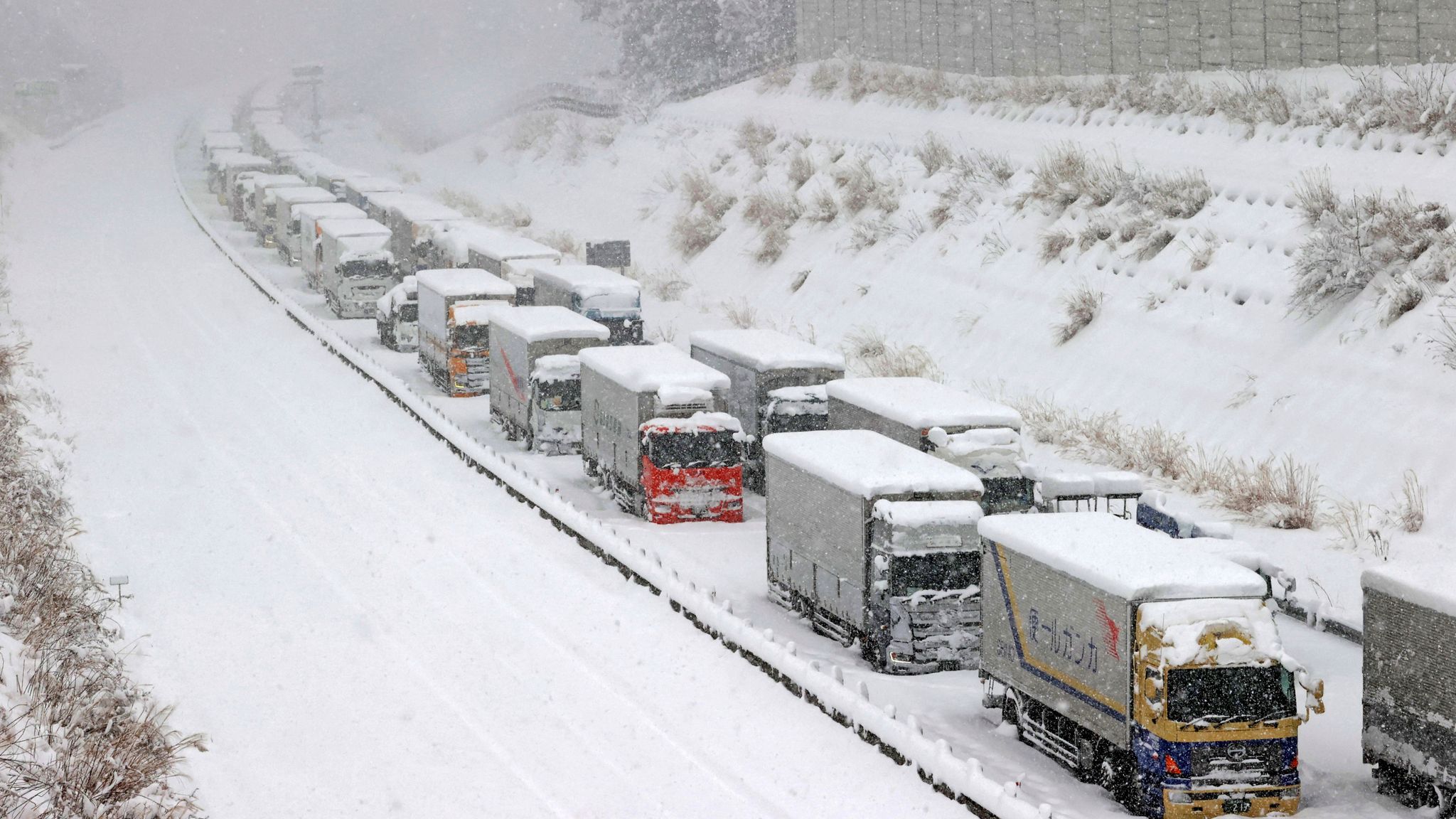 Thousands swarm airport in South Korea and five die in Japan as snow ...