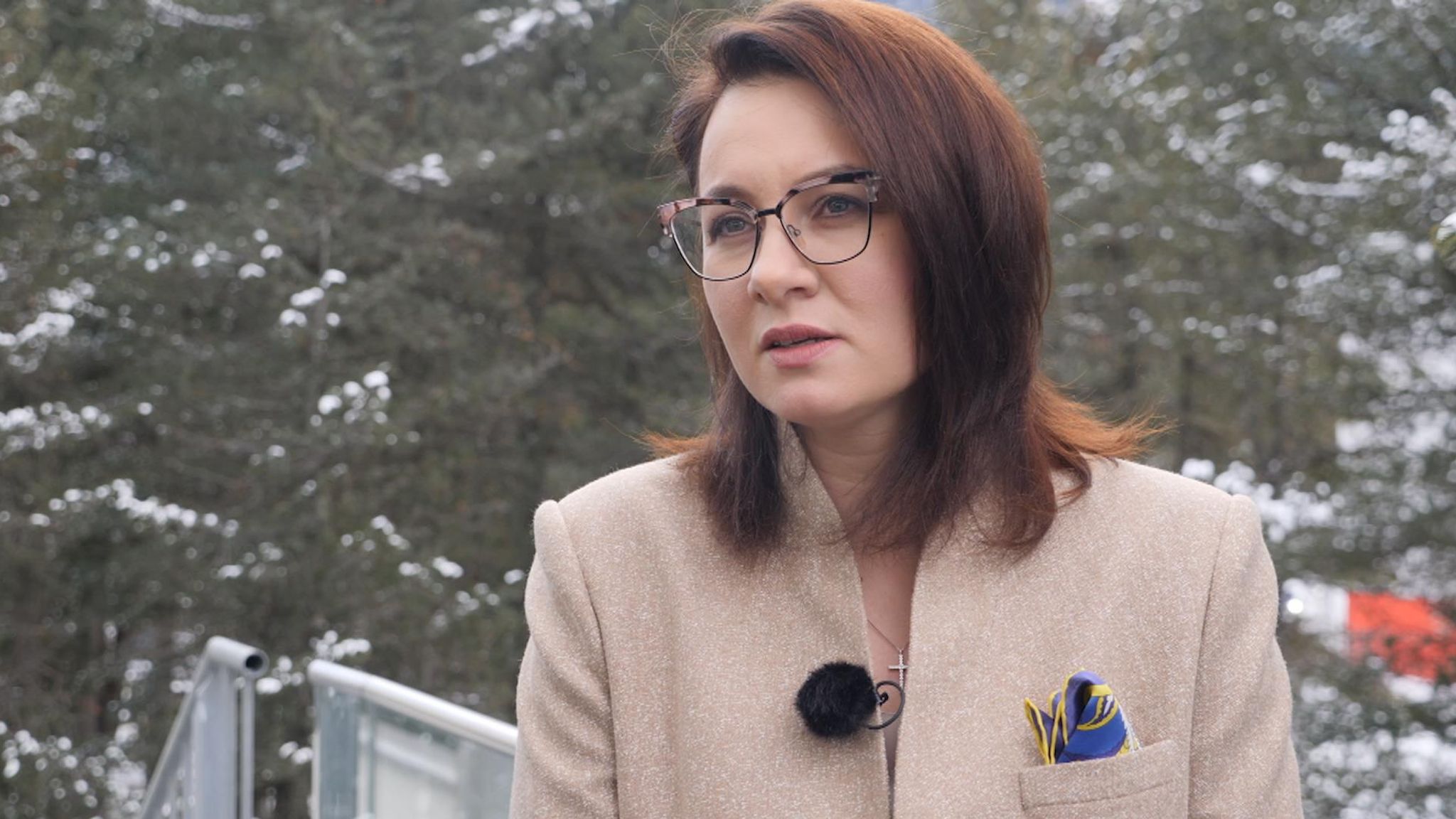 Germany should 'follow UK's example' and send us tanks, Ukrainian ...