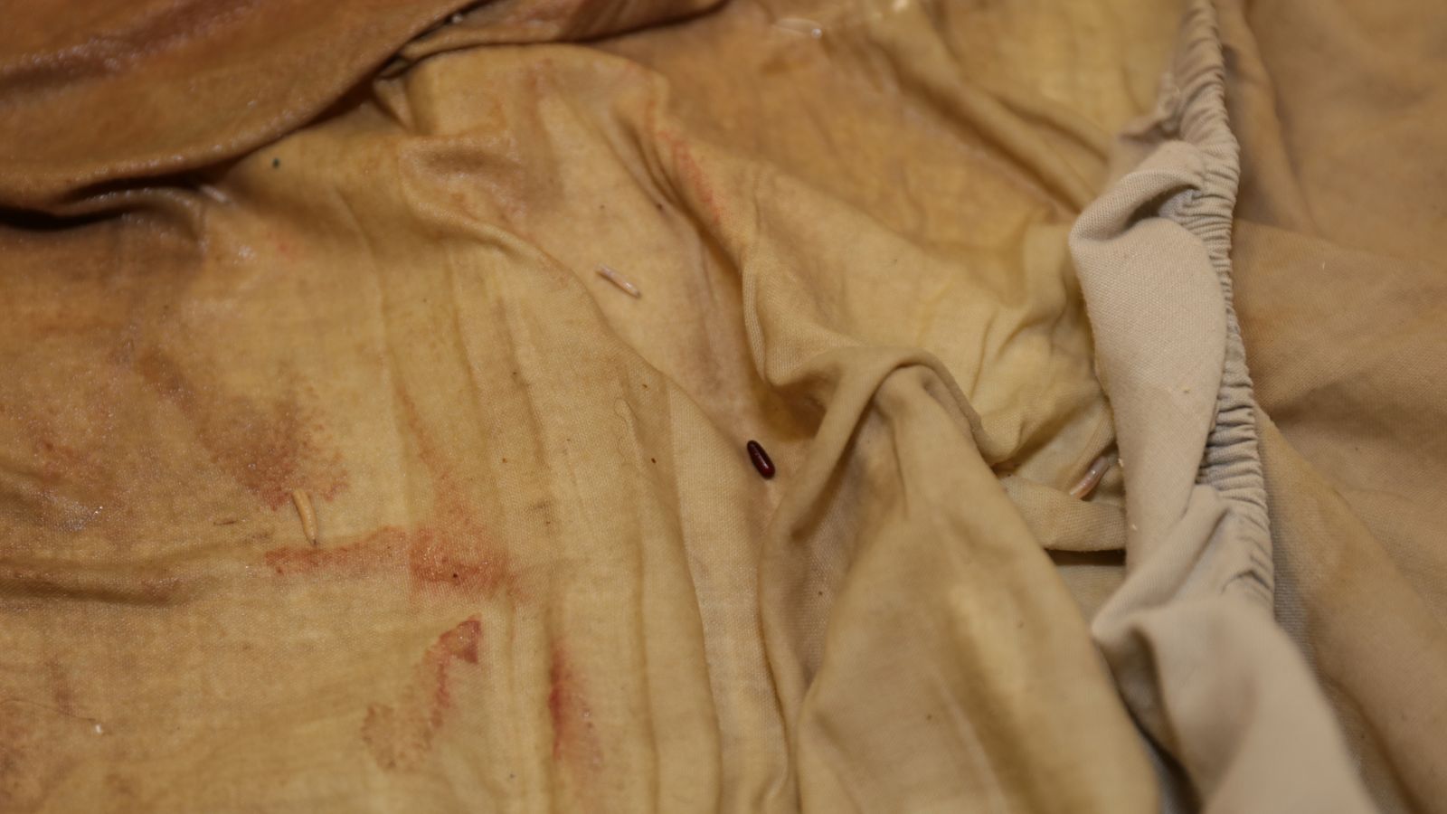 Kaylea Titford: 'Revolting' pictures reveal how obese girl, 16, died in ...