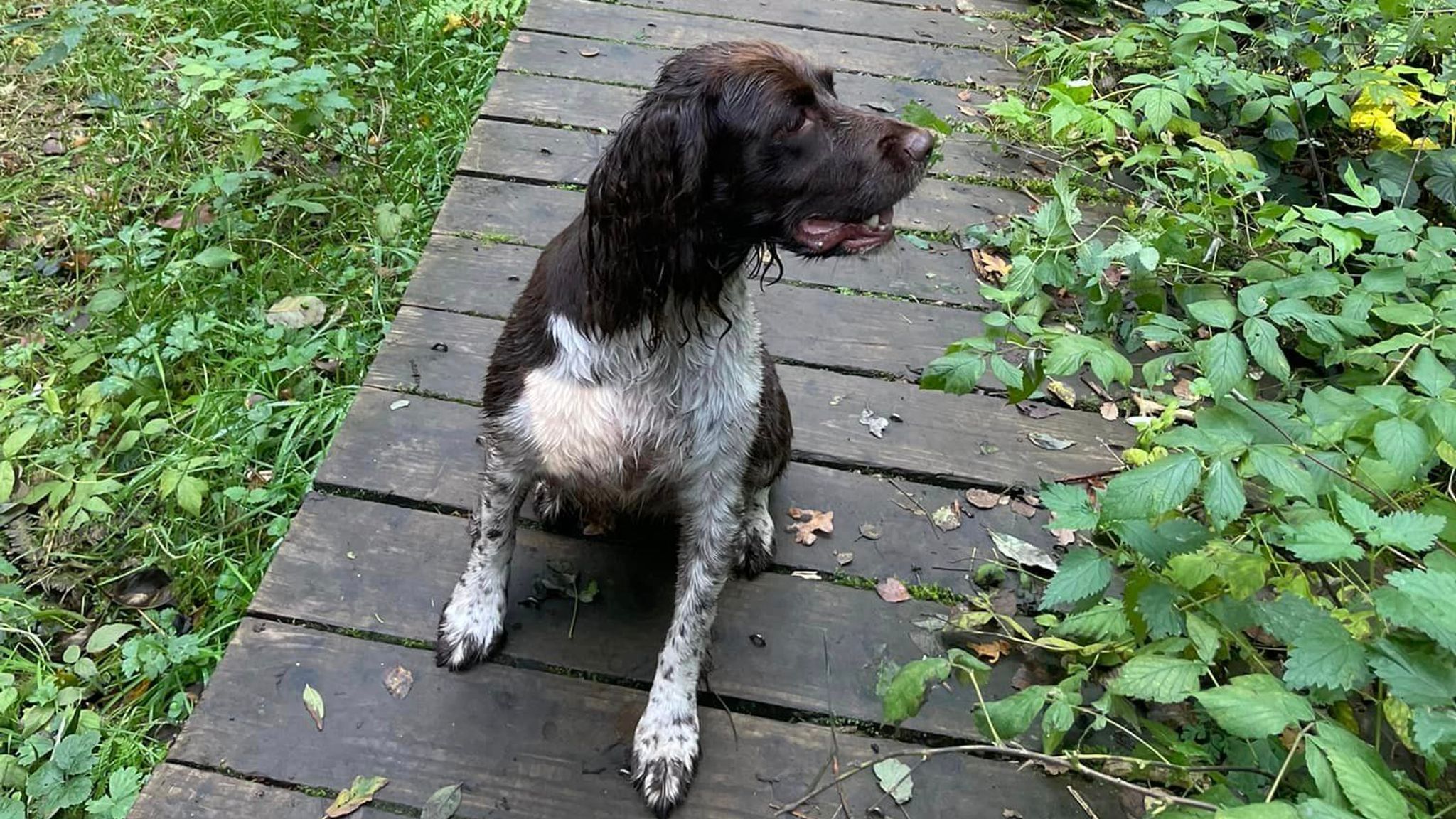 Nicola Bulley: Family and friends insist there is 'no evidence' behind ...