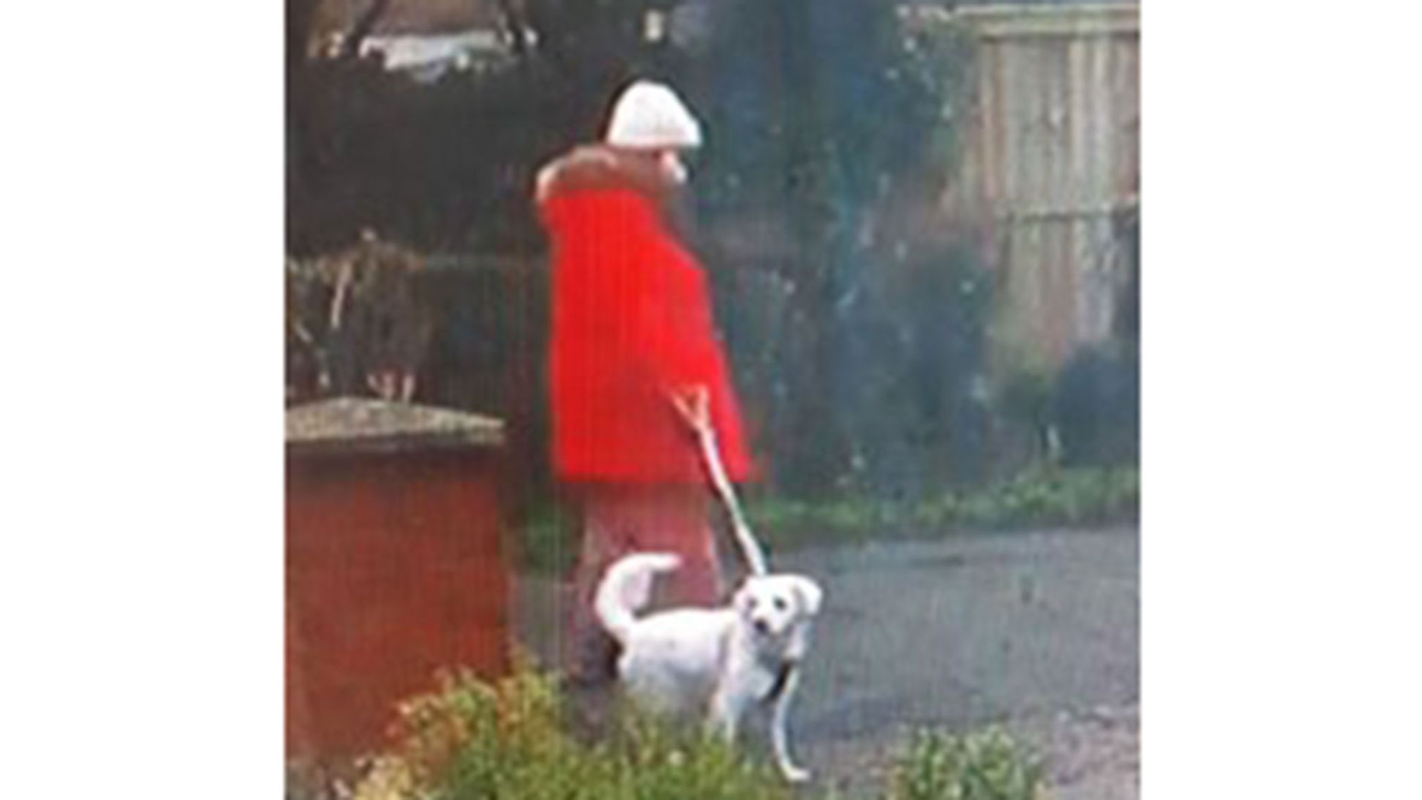 Nicola Bulley: Family of missing dog walker say her 'children need her ...