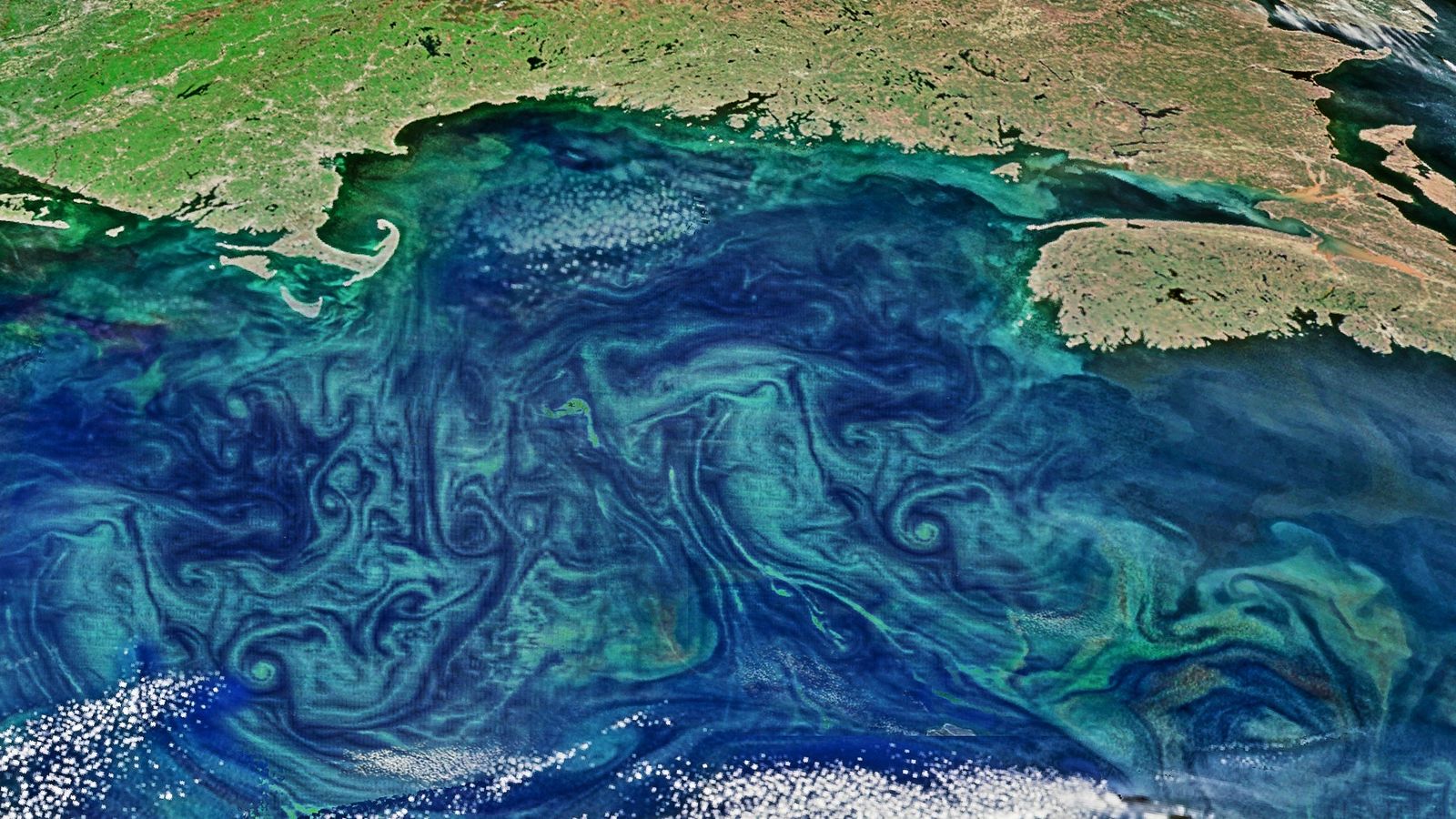 Striking satellite images reveal beauty and danger of algal blooms ...