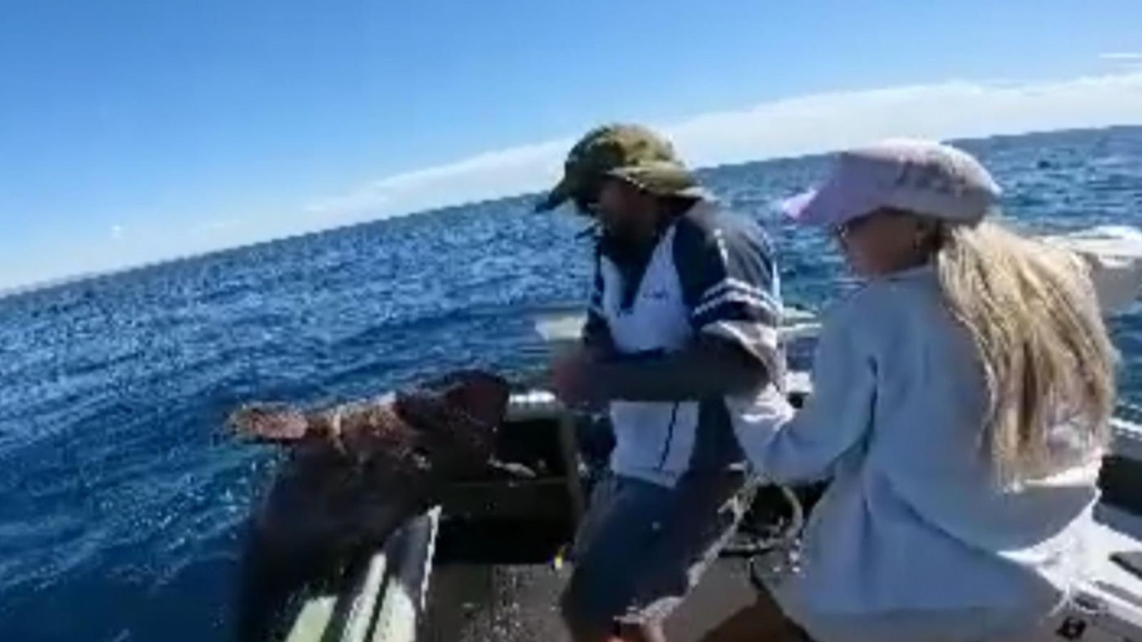 'Absolute monster' giant cod reeled in by fisherman in Australia ...