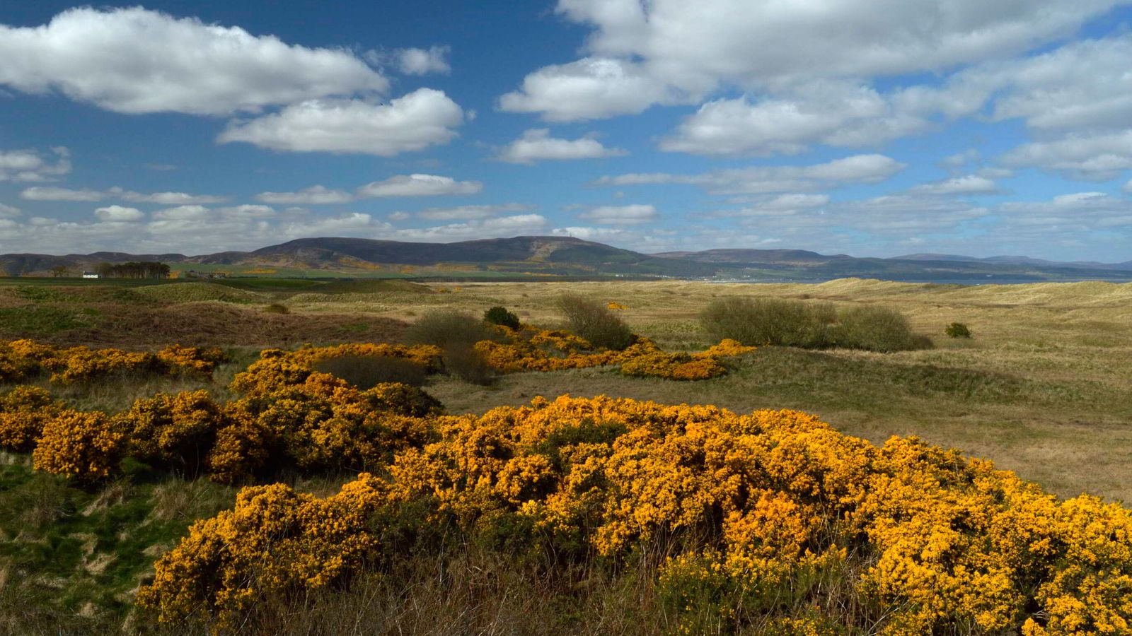 Walking group fighting fresh plans for Coul Links golf course in the ...