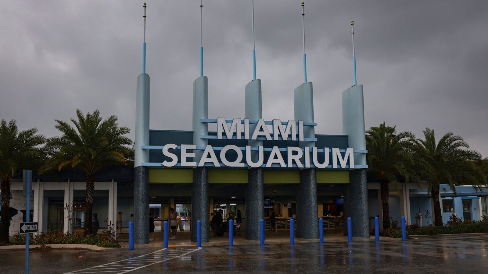 Orca Lolita dies after 52 years in captivity at Miami Seaquarium ...