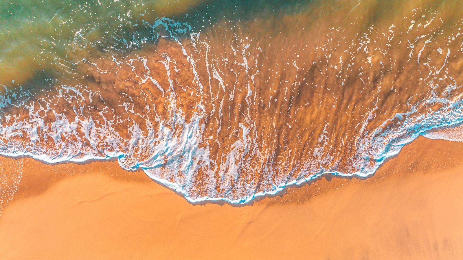 Climate: What UN high seas treaty means for our oceans | Sky News