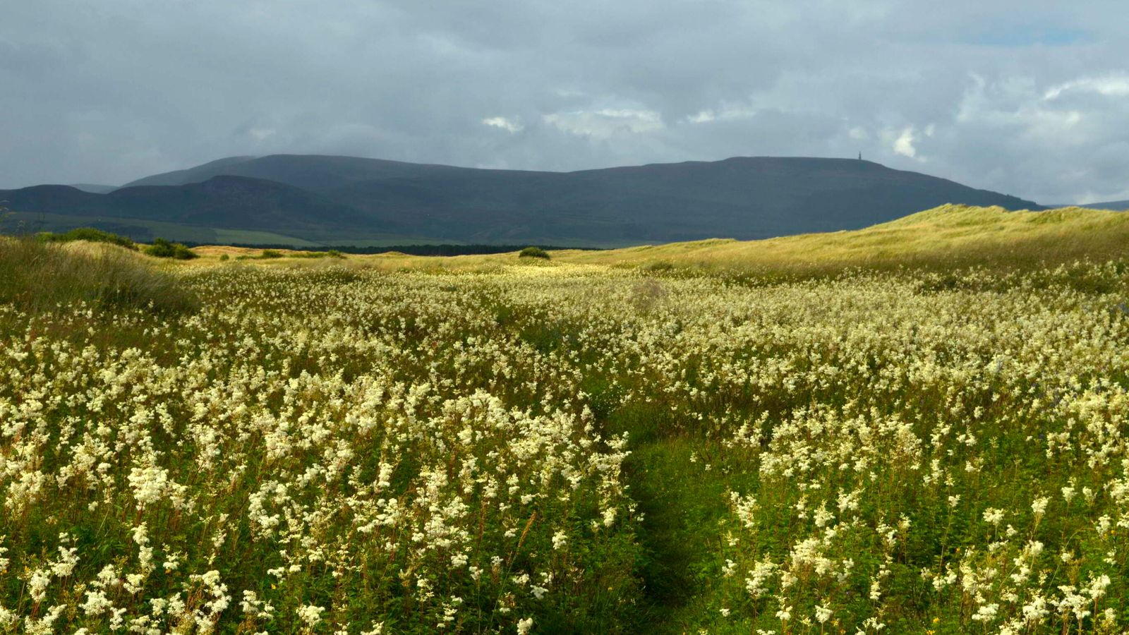 Highland councillors back Coul Links golf course plan | UK News | Sky News