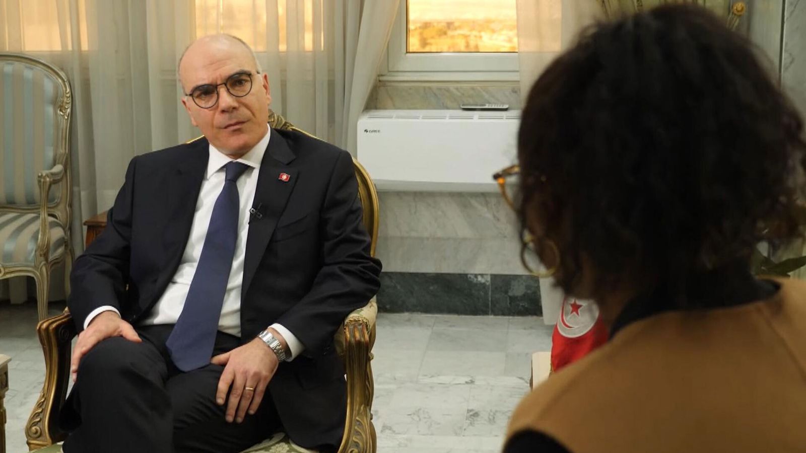 Tunisia minister says country 'committed' to protecting sub-Saharan ...