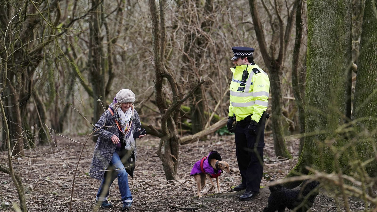 Constance Marten and Mark Gordon case: Public urged to look in gardens ...