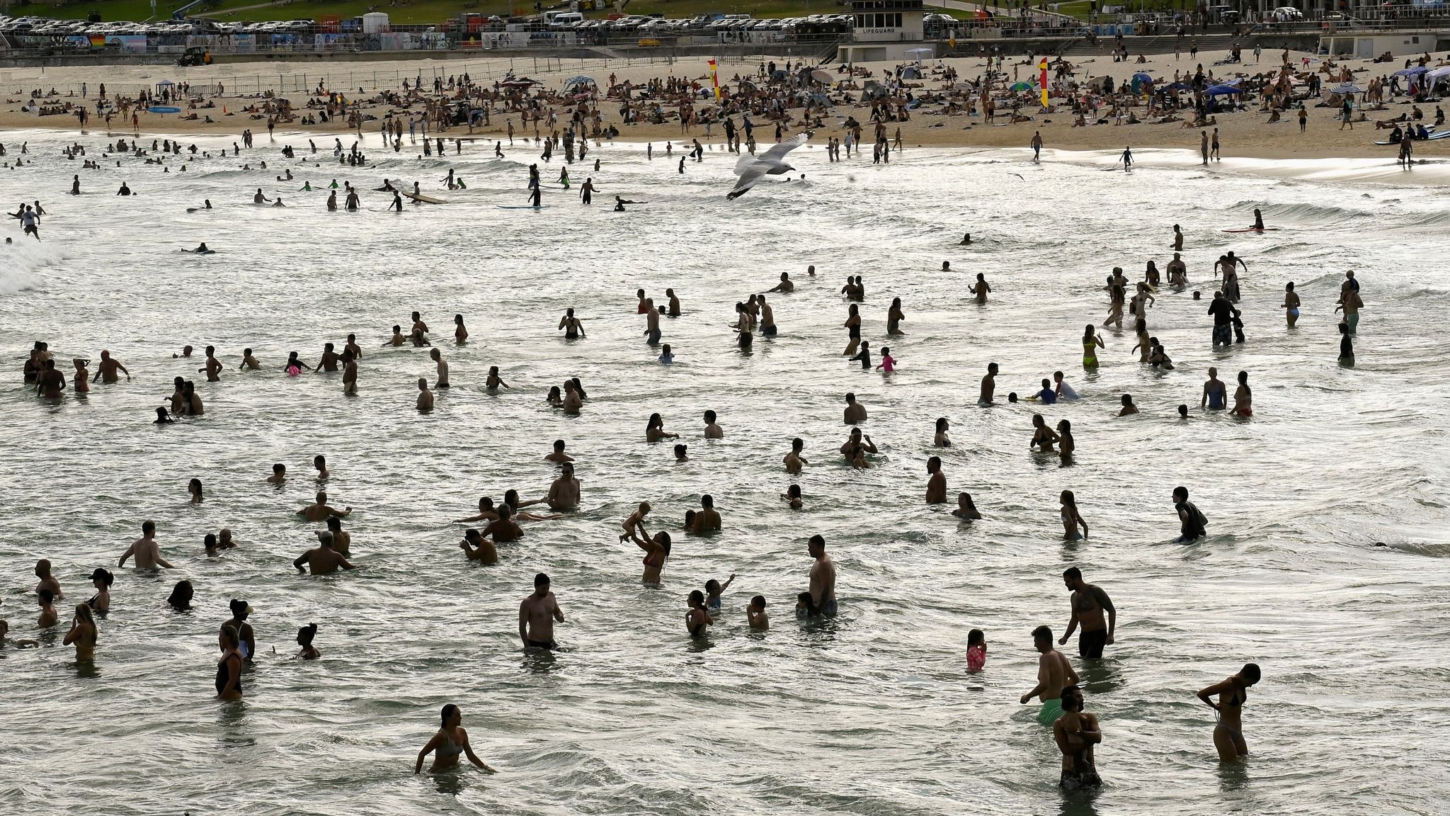 Sydney records hottest day in two years as 40C temperatures threaten ...