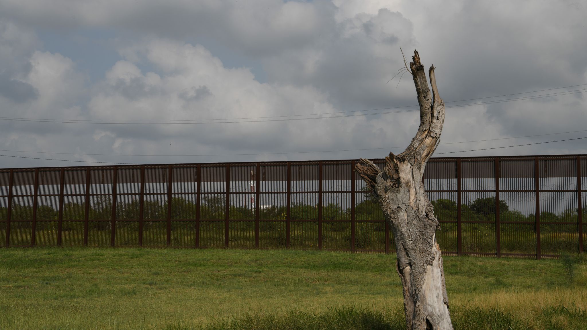 Mexican drug cartel apologises for kidnapping and killing Americans and ...