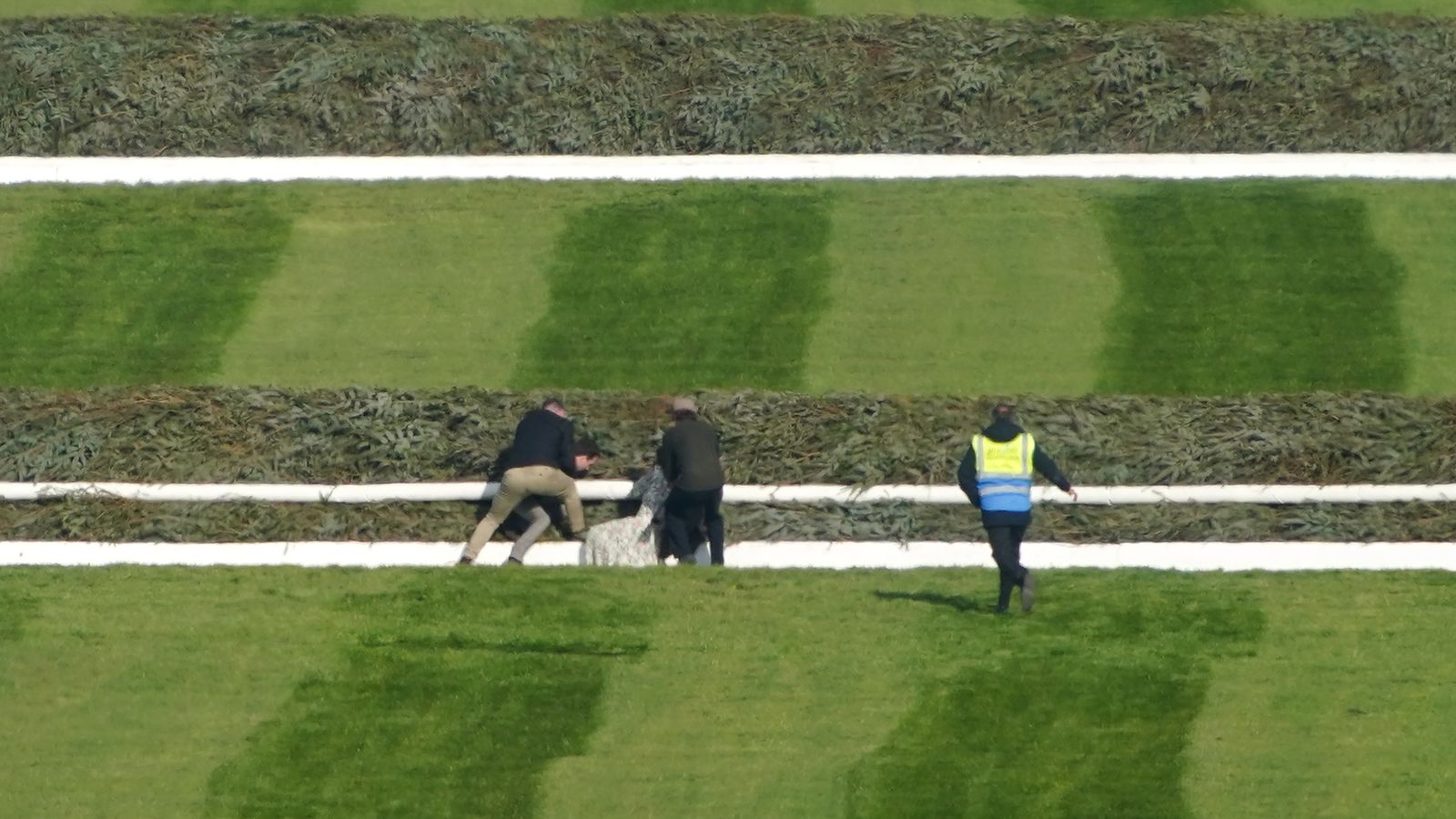 Grand National 'a disgrace': Animal rights groups call for jump racing ...
