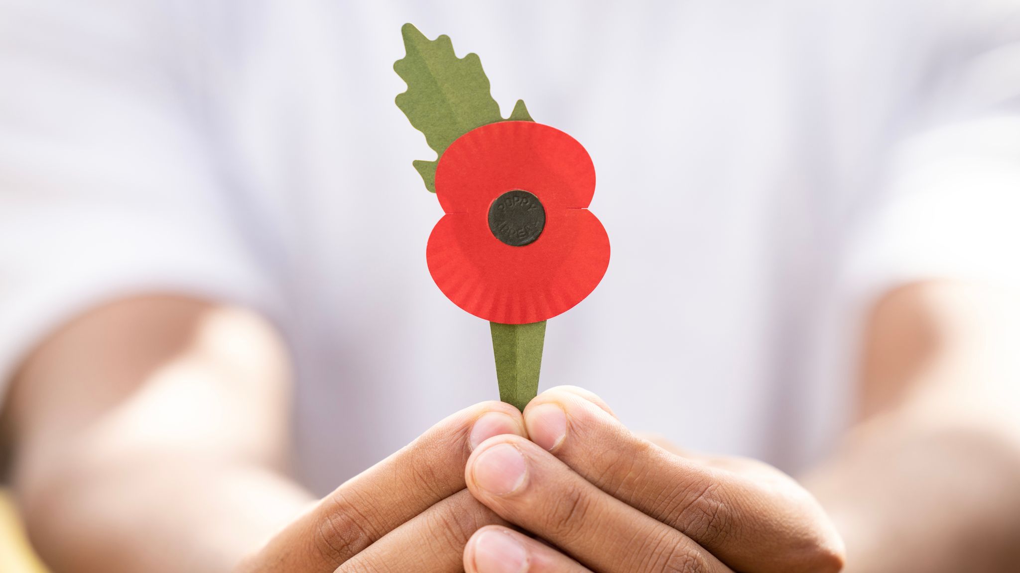 Plastic-free Remembrance poppy partly made of coffee cup waste launched ...