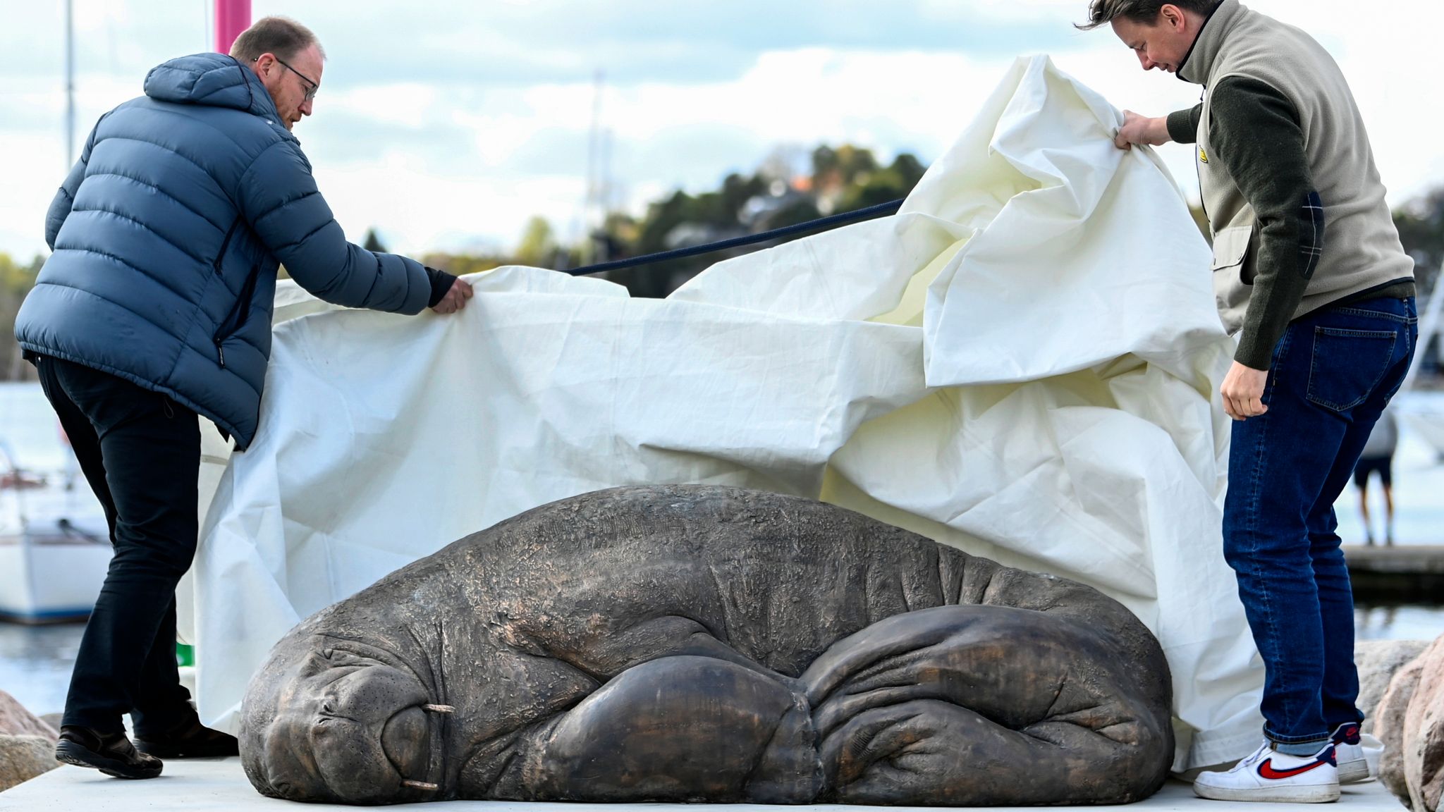 Freya the walrus: Celebrity mammal which was put down in Norway ...