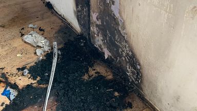 More than £7,000 raised after fire at Lamont Farm Project in Erskine ...