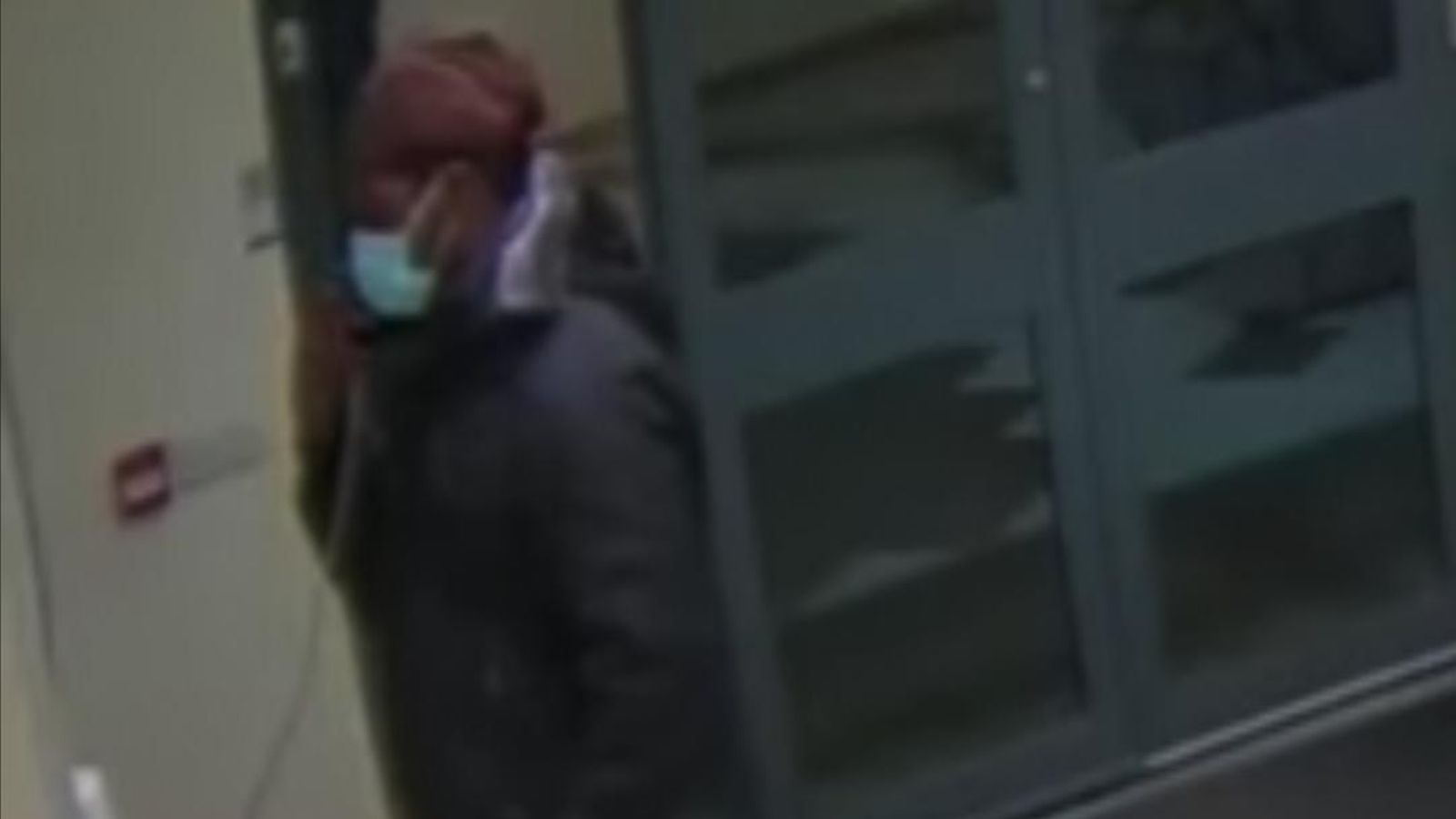 CCTV shows murderer report 'concern' for partner to police - two days ...