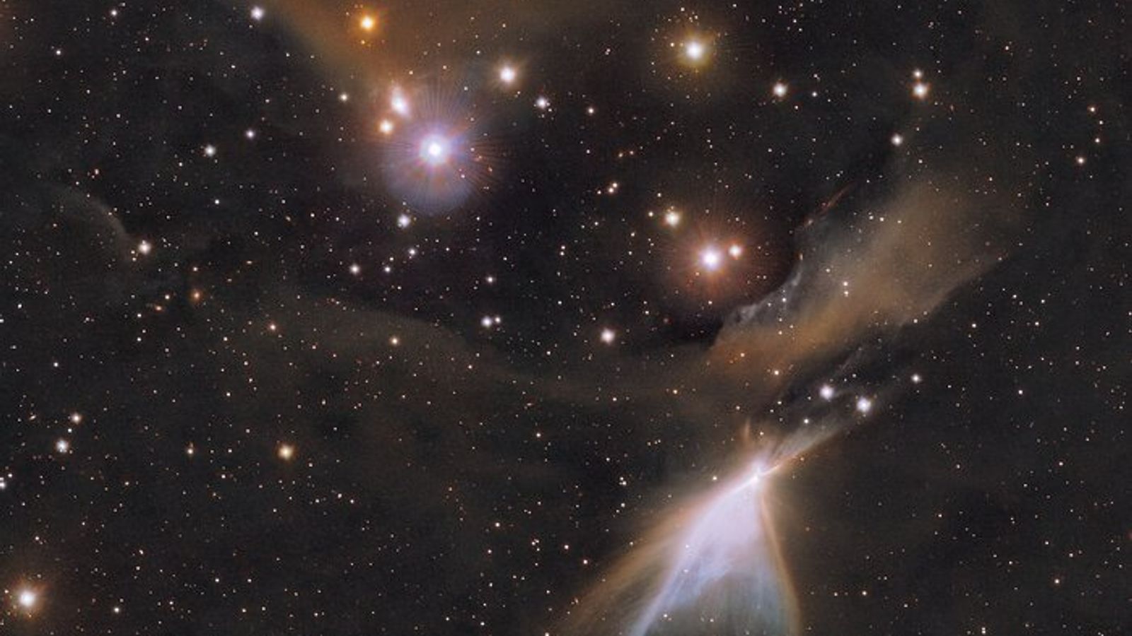 Stars in the making pictured in images 'no one has ever seen before' as ...