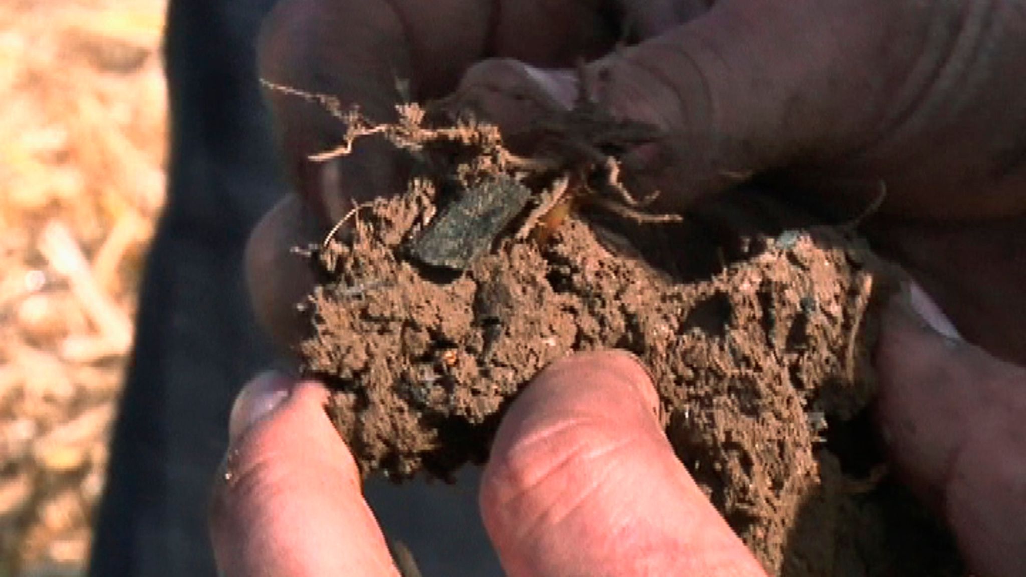 The 'black gold' that could help fight climate change for centuries to ...