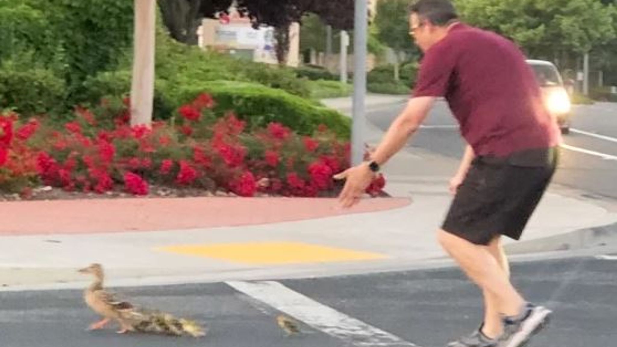 'Kind and amazing' dad hit and killed by car after stopping to help ...