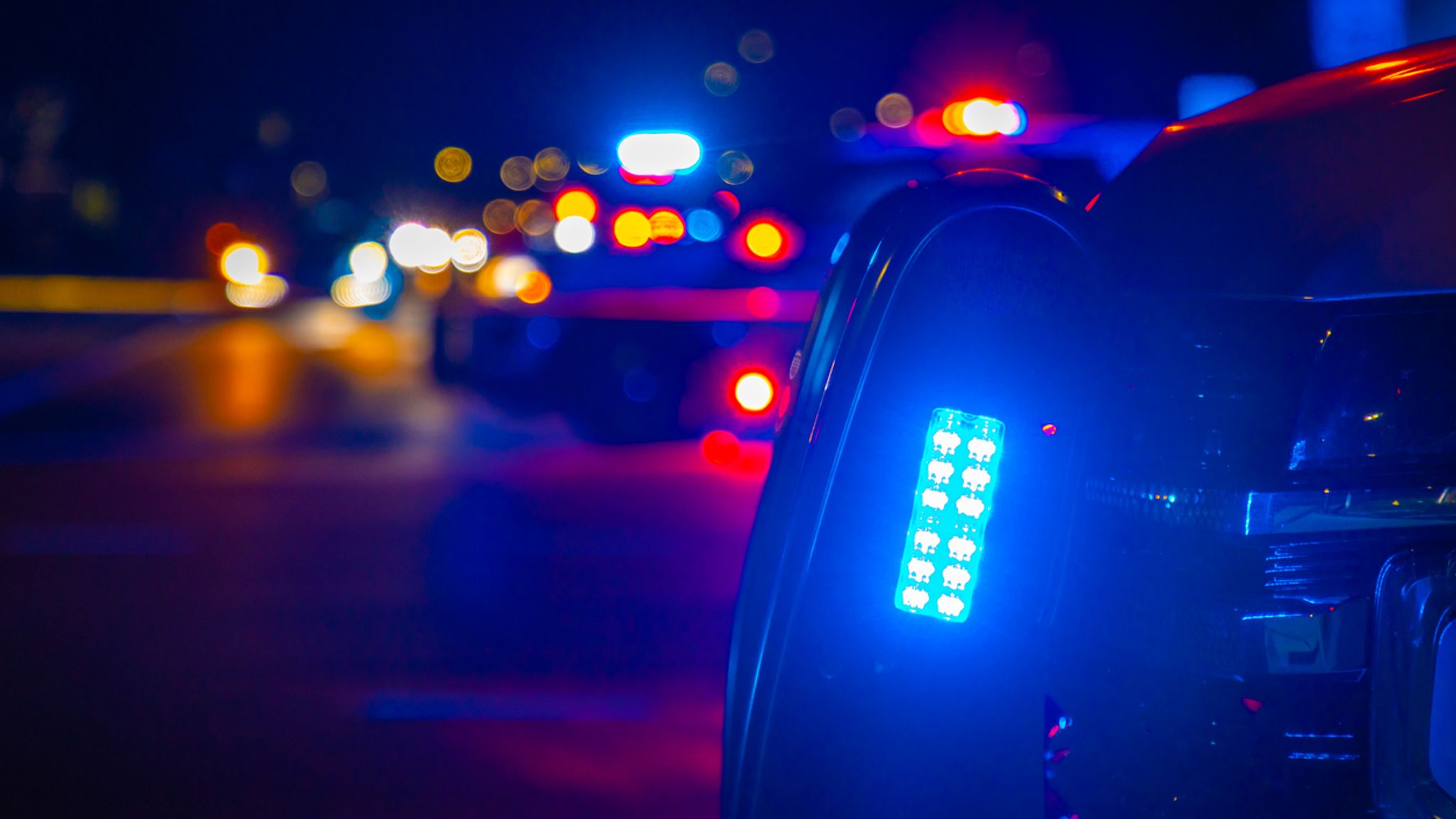 Speeding driver tried to switch places with his dog to avoid arrest ...