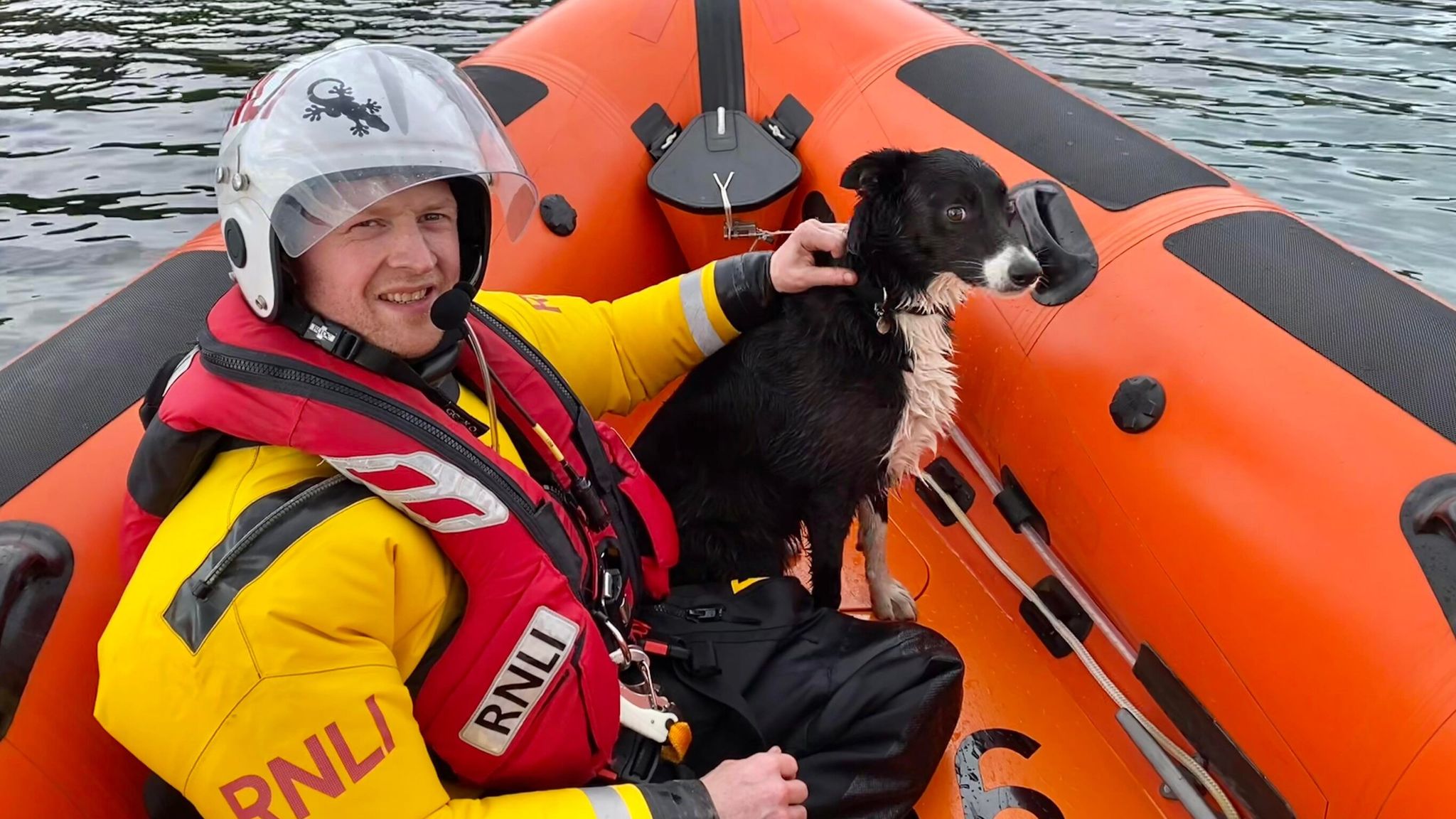 Kyle RNLI rescue dog stranded on rock in the Scottish Highlands | UK ...