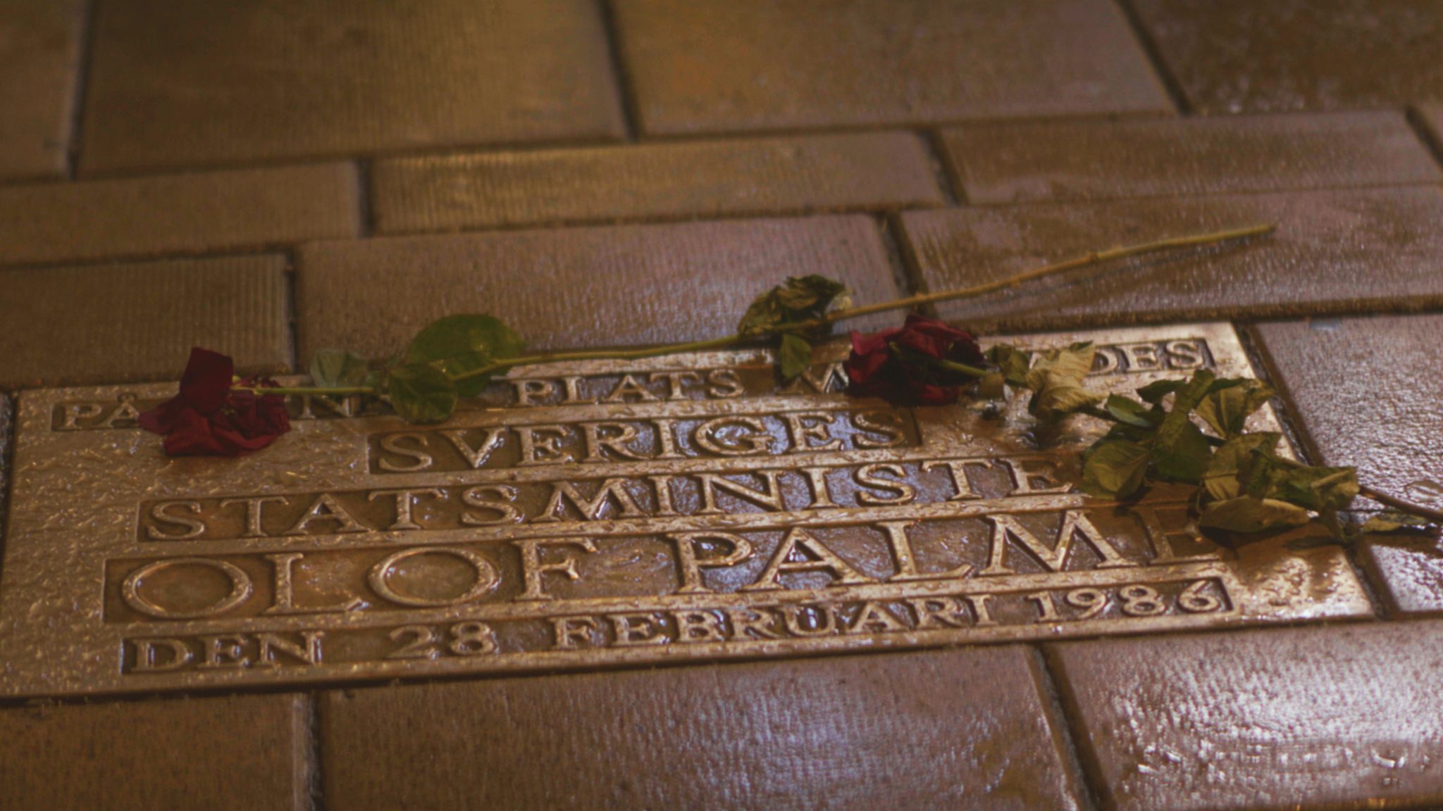 Spies, intrigue and an unsolved murder: Investigating the assassination of a Swedish prime ...