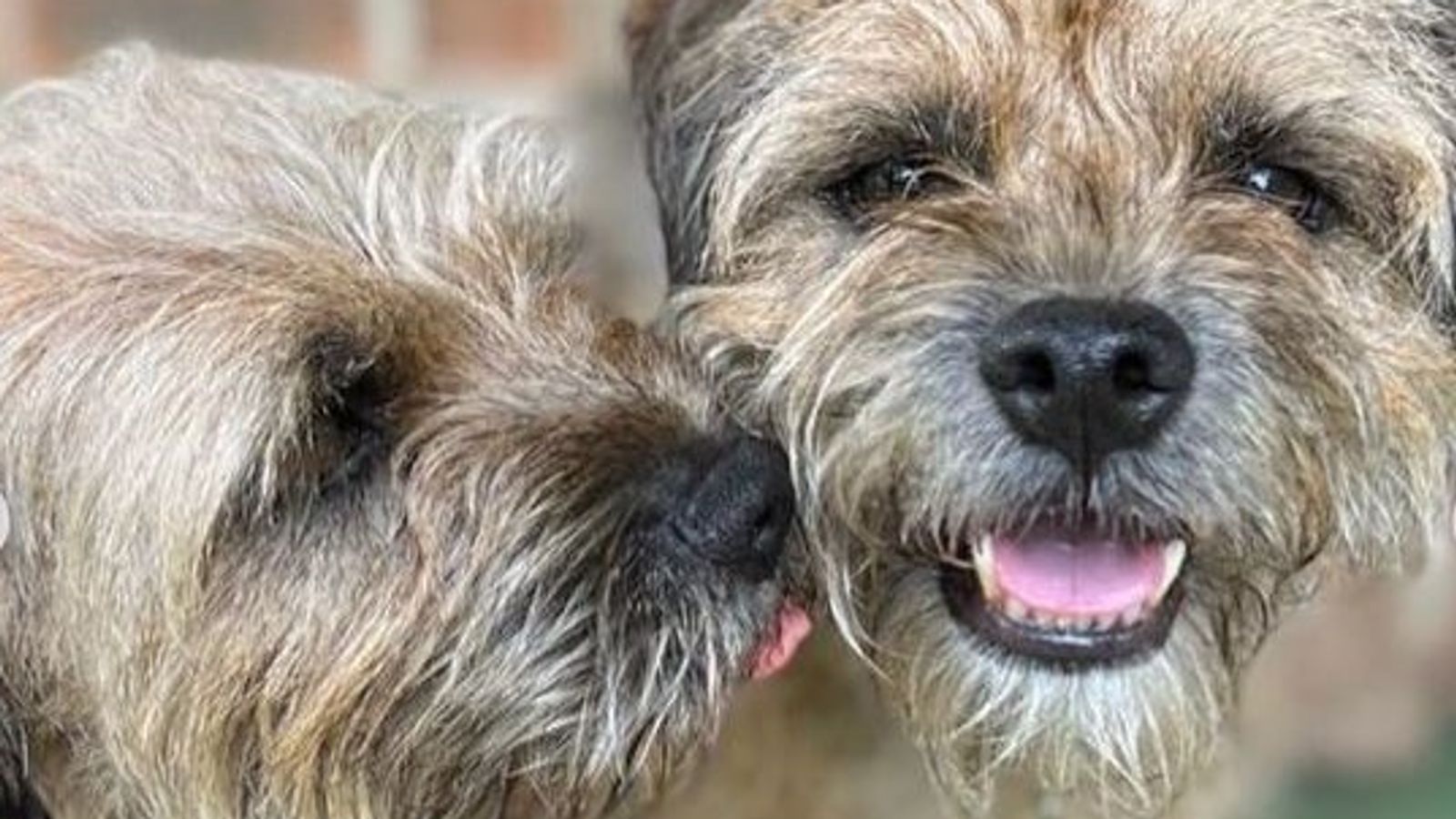 Colin From Accounts: The real-life couple behind the hit Australian ...