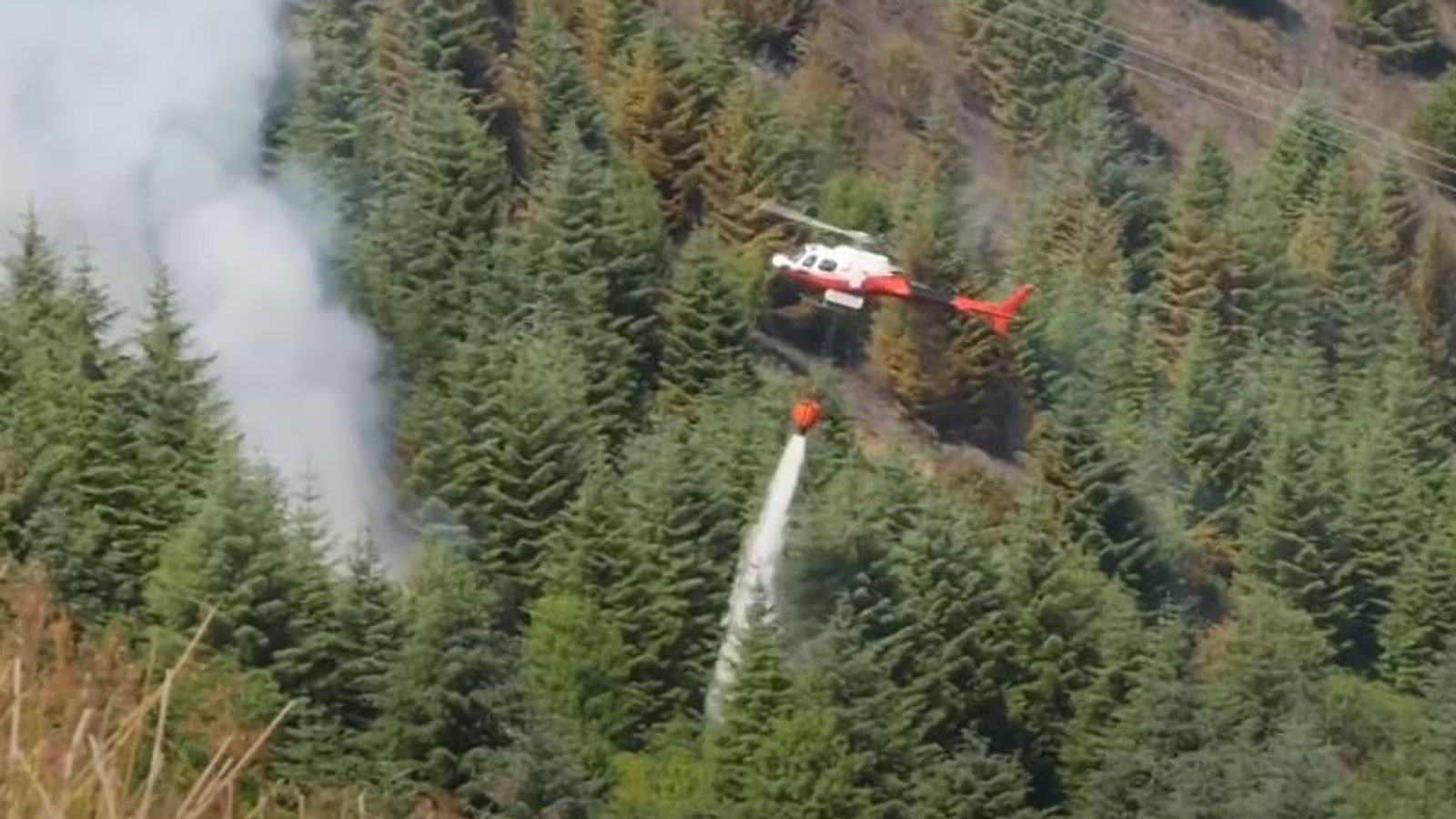 UK heatwave: Risk of wildfires over England and parts of Wales raised ...