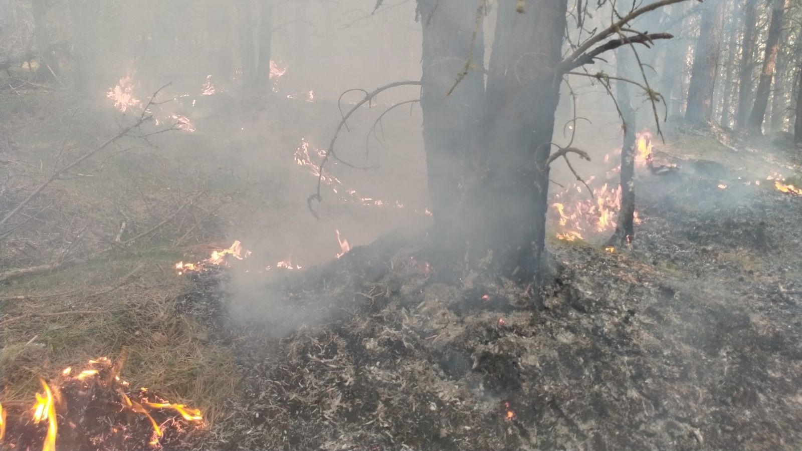Massive wildfire in Scottish Highlands has burned nearly six square ...